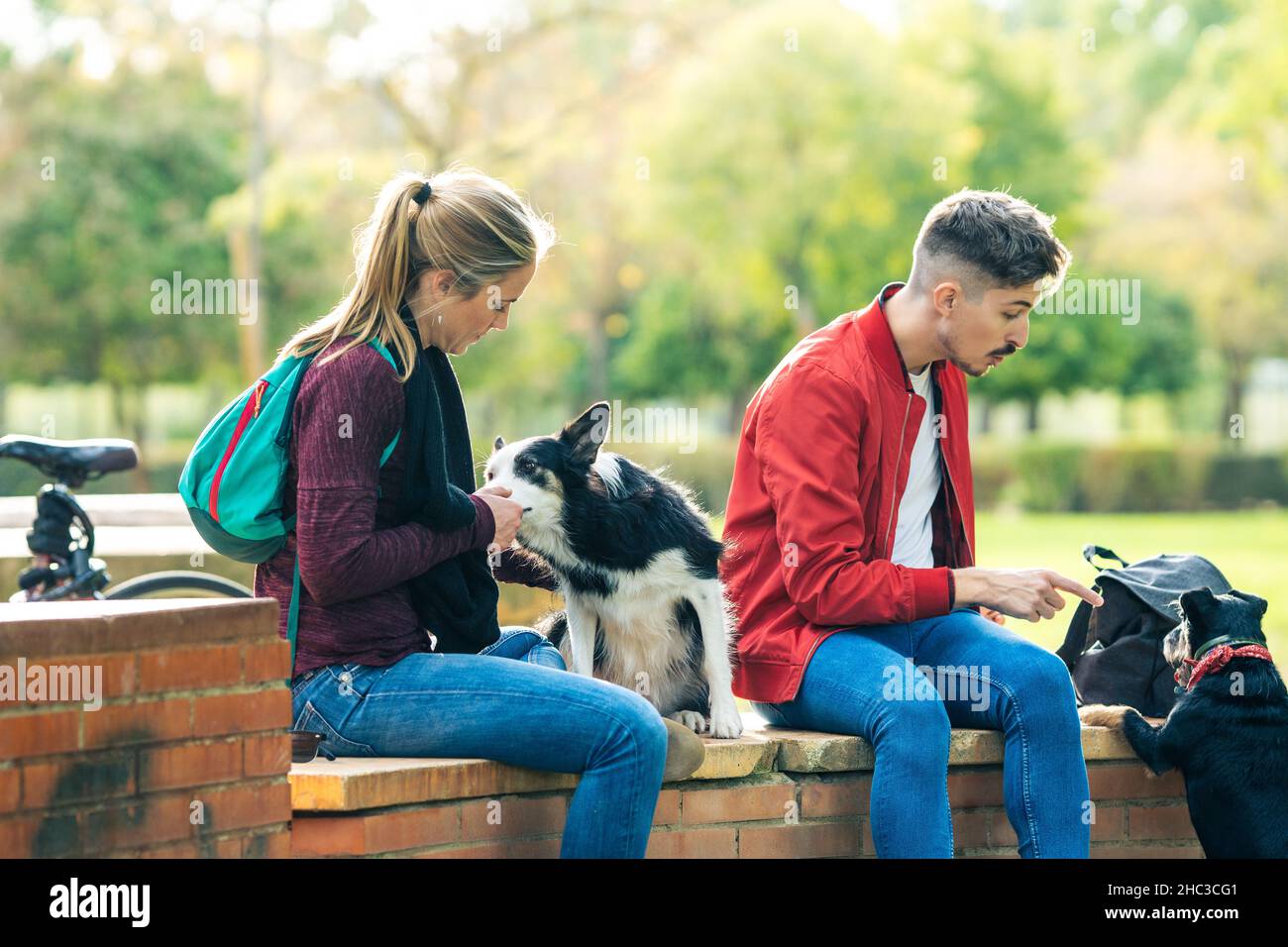 Two friends giving treats to two dogs while sitting on a park Stock ...