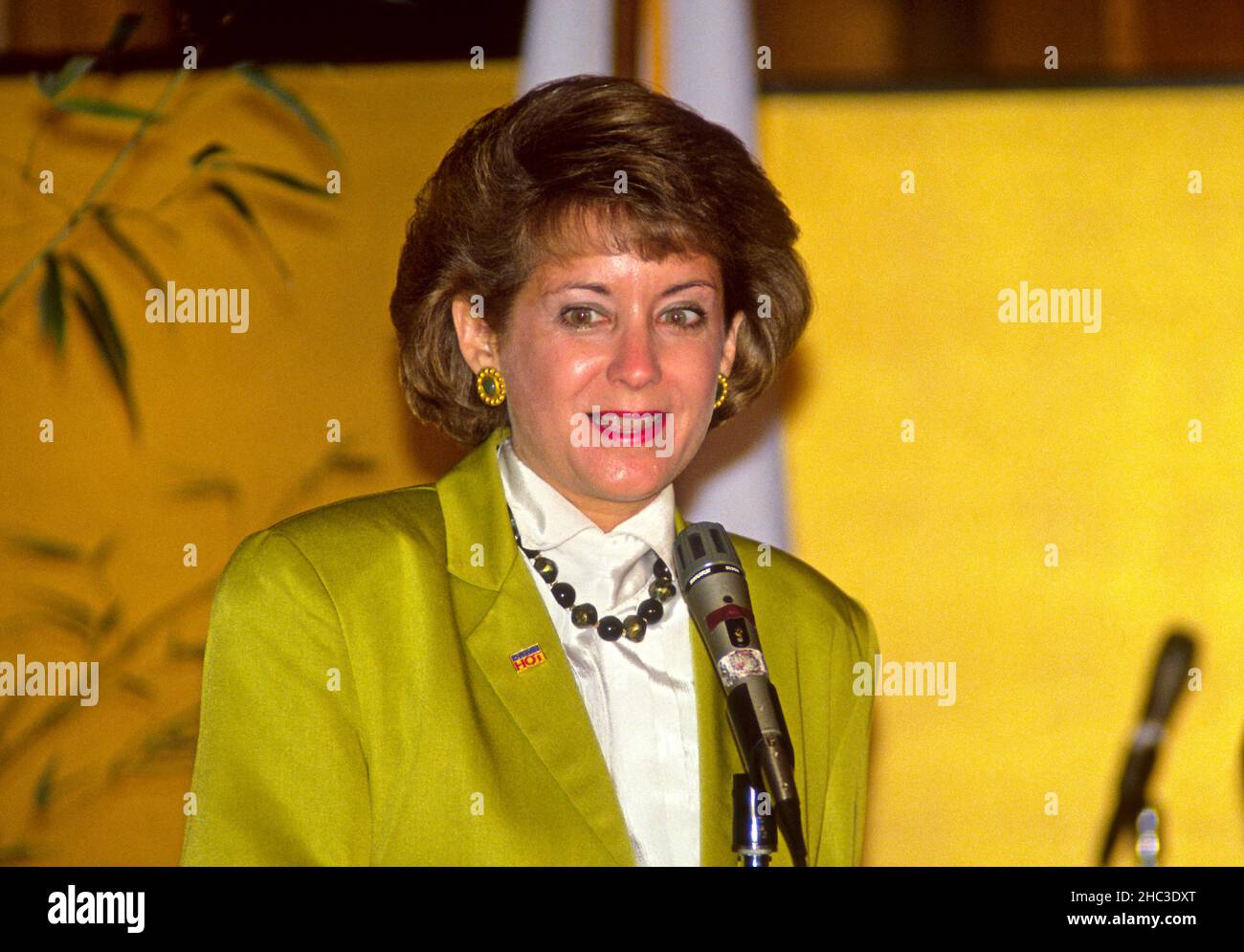 Mayor Kathy Whitmire (Democrat of Houston, Texas) makes remarks ...