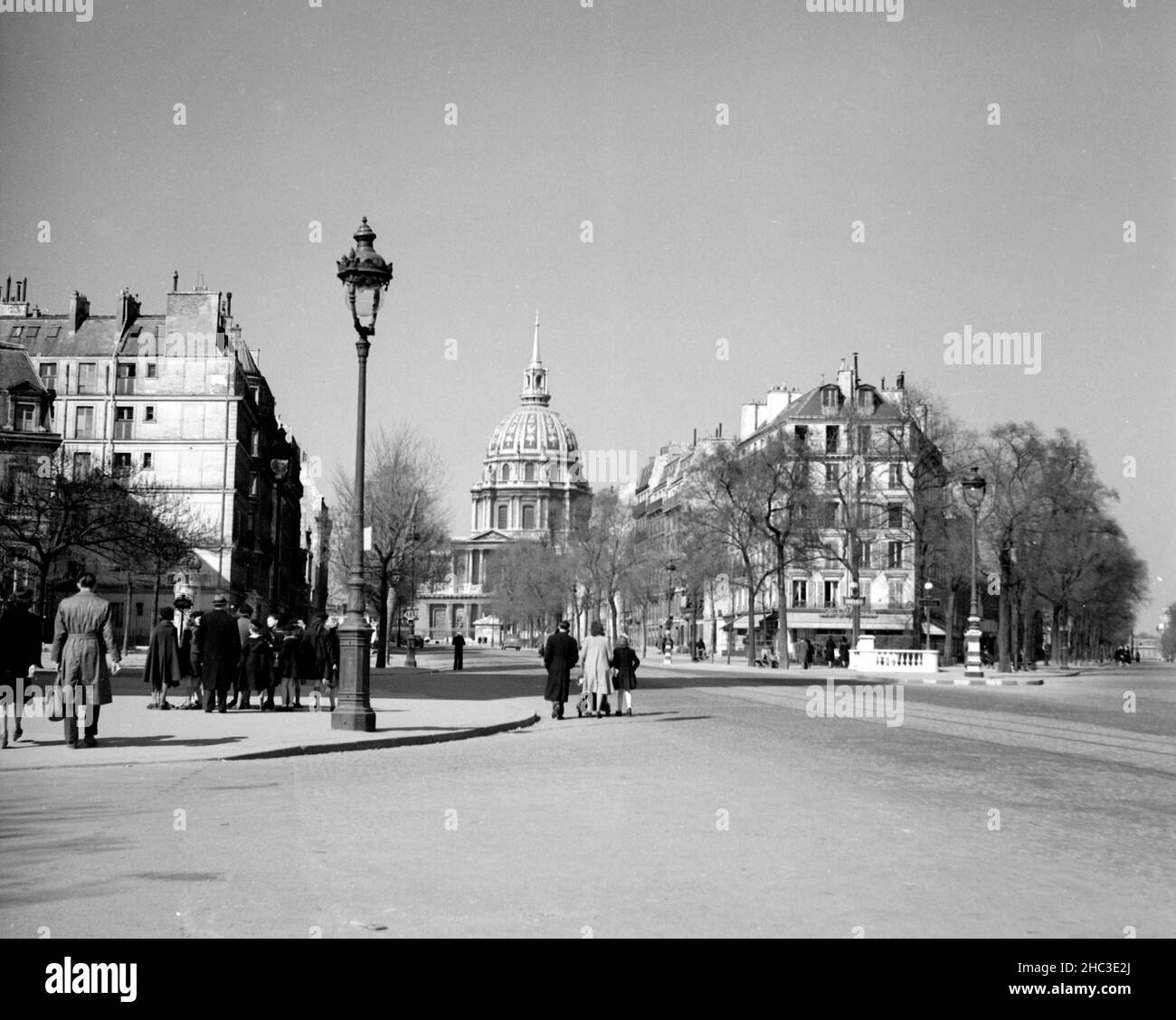 Trees vehicles on street Black and White Stock Photos & Images - Alamy