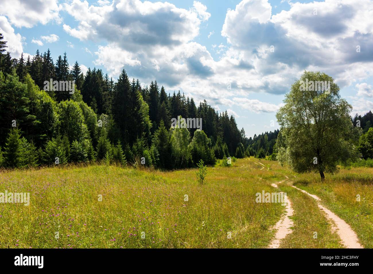 The wild fields hi-res stock photography and images - Alamy