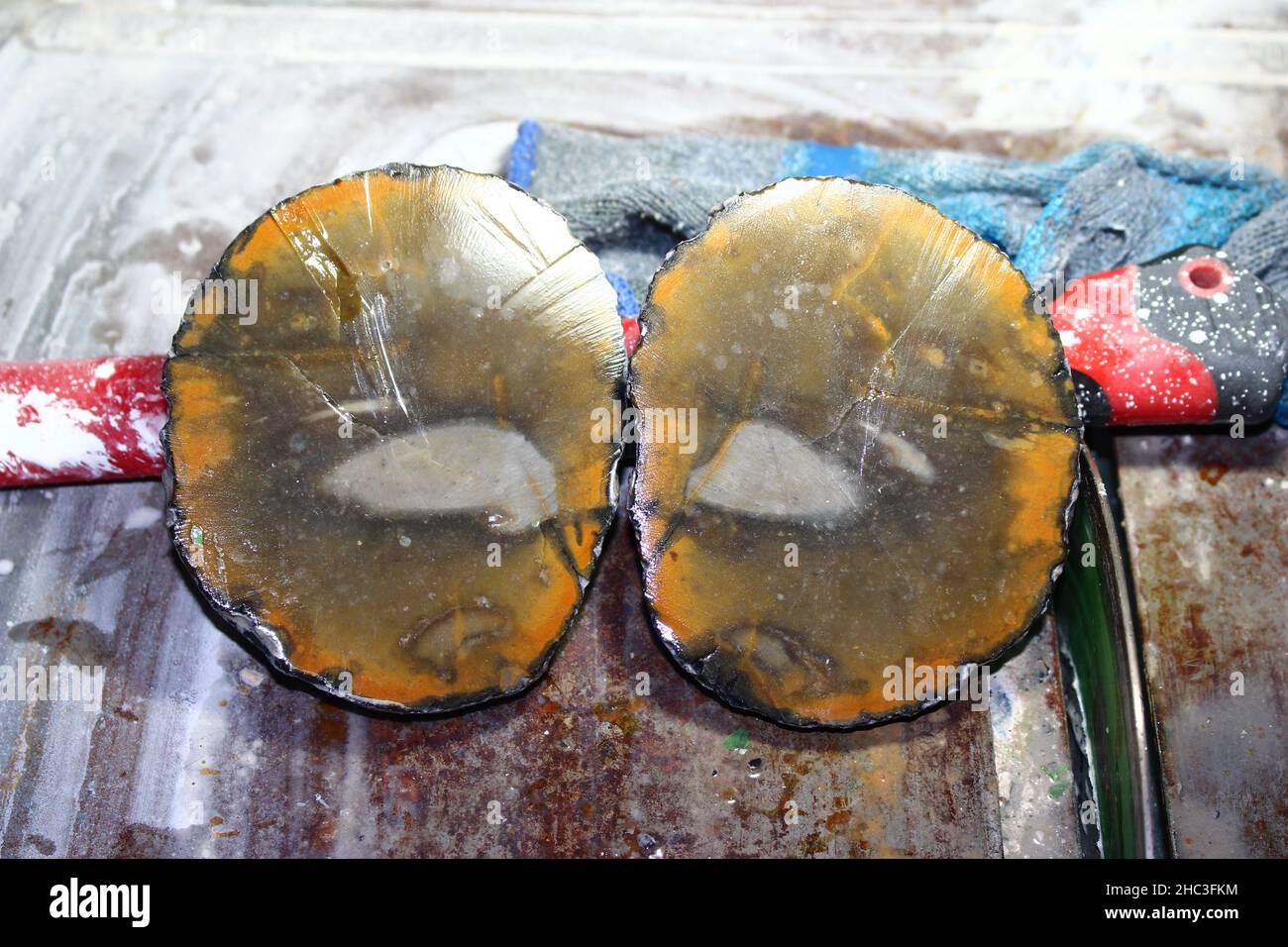 Flint nodule after sawing with a diamond blade in half close Stock ...