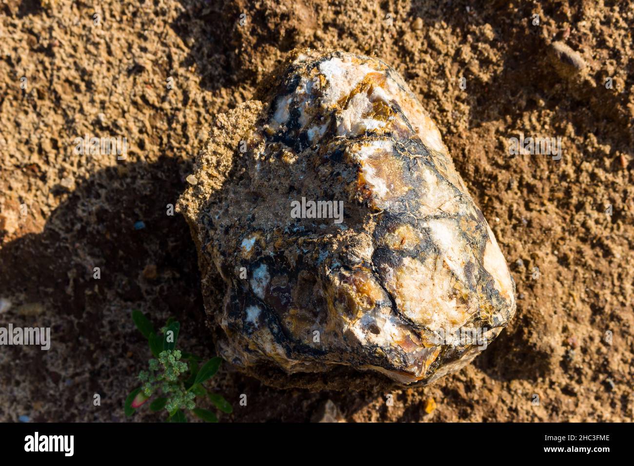 Large rough agate lying on the sand, searching for stones in a sand ...