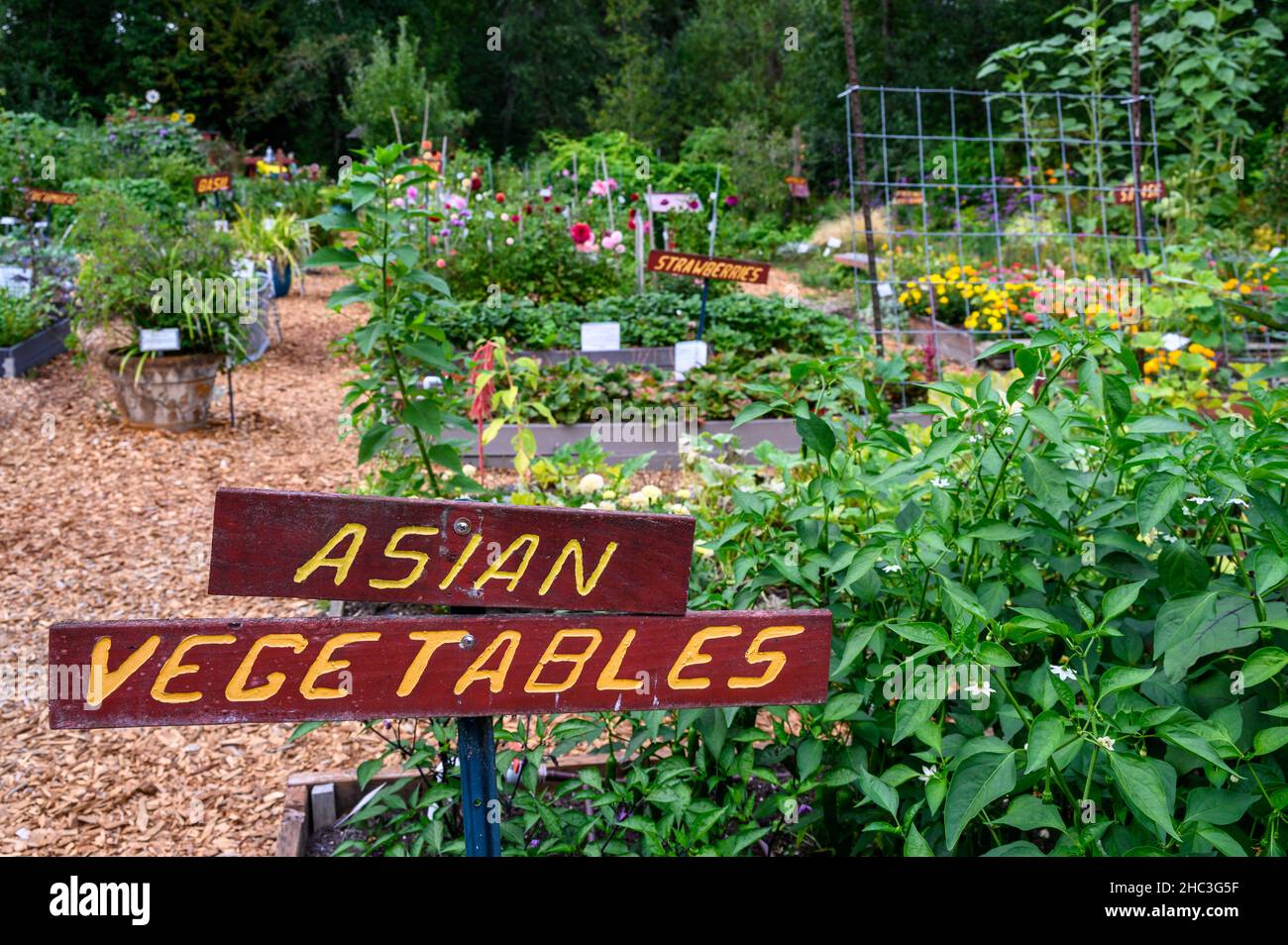 Vegeta sign hi-res stock photography and images - Alamy