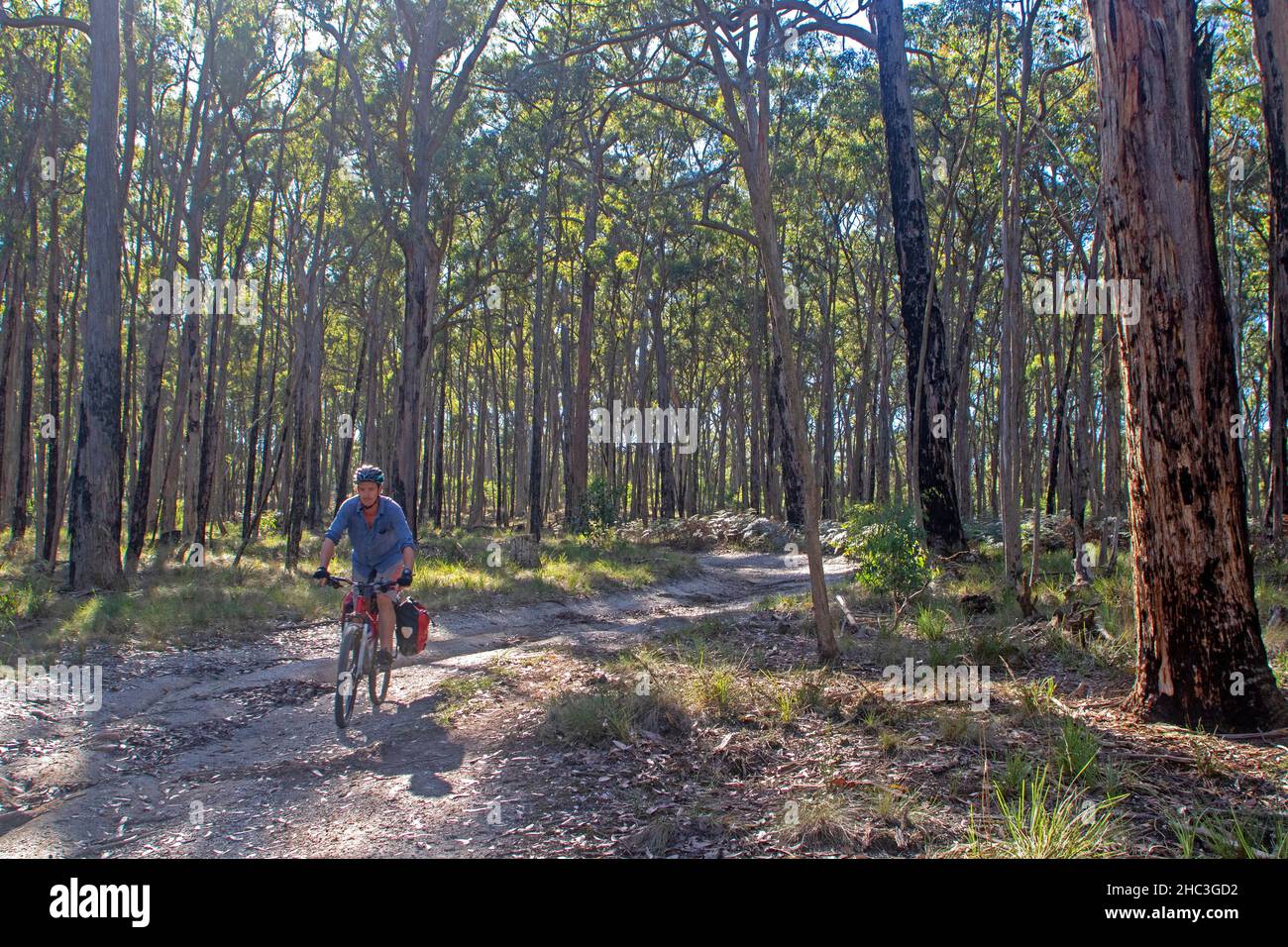 Goldfields track hi-res stock photography and images - Alamy