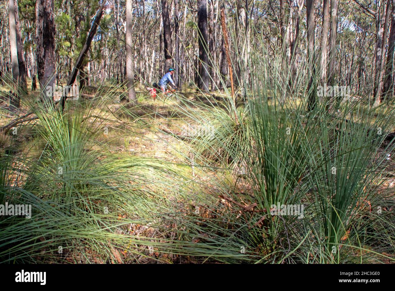 Grass track cycling hi-res stock photography and images - Alamy