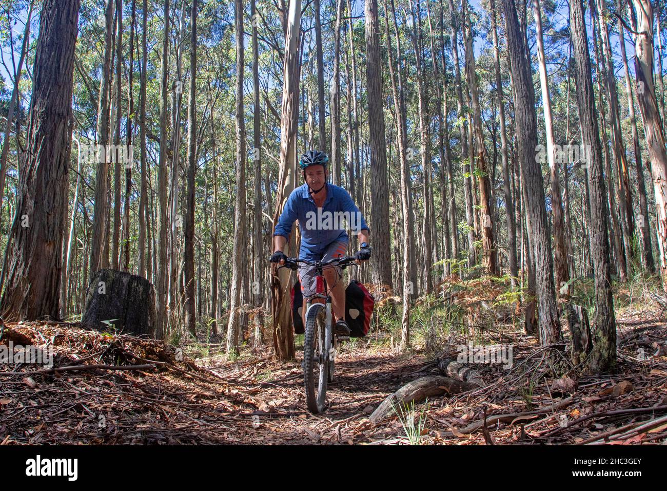Goldfields hi-res stock photography and images - Alamy