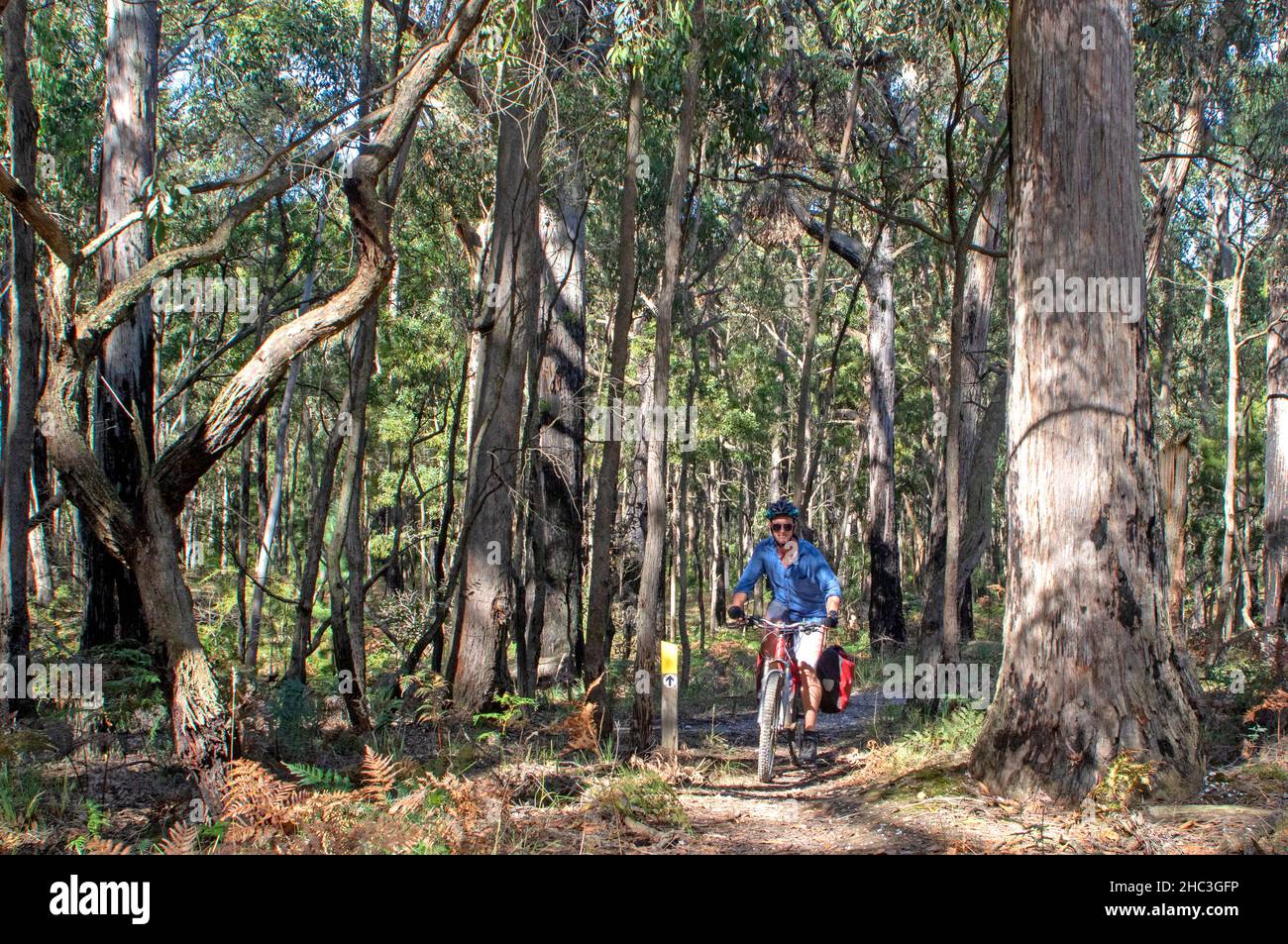 Goldfields track hi-res stock photography and images - Alamy