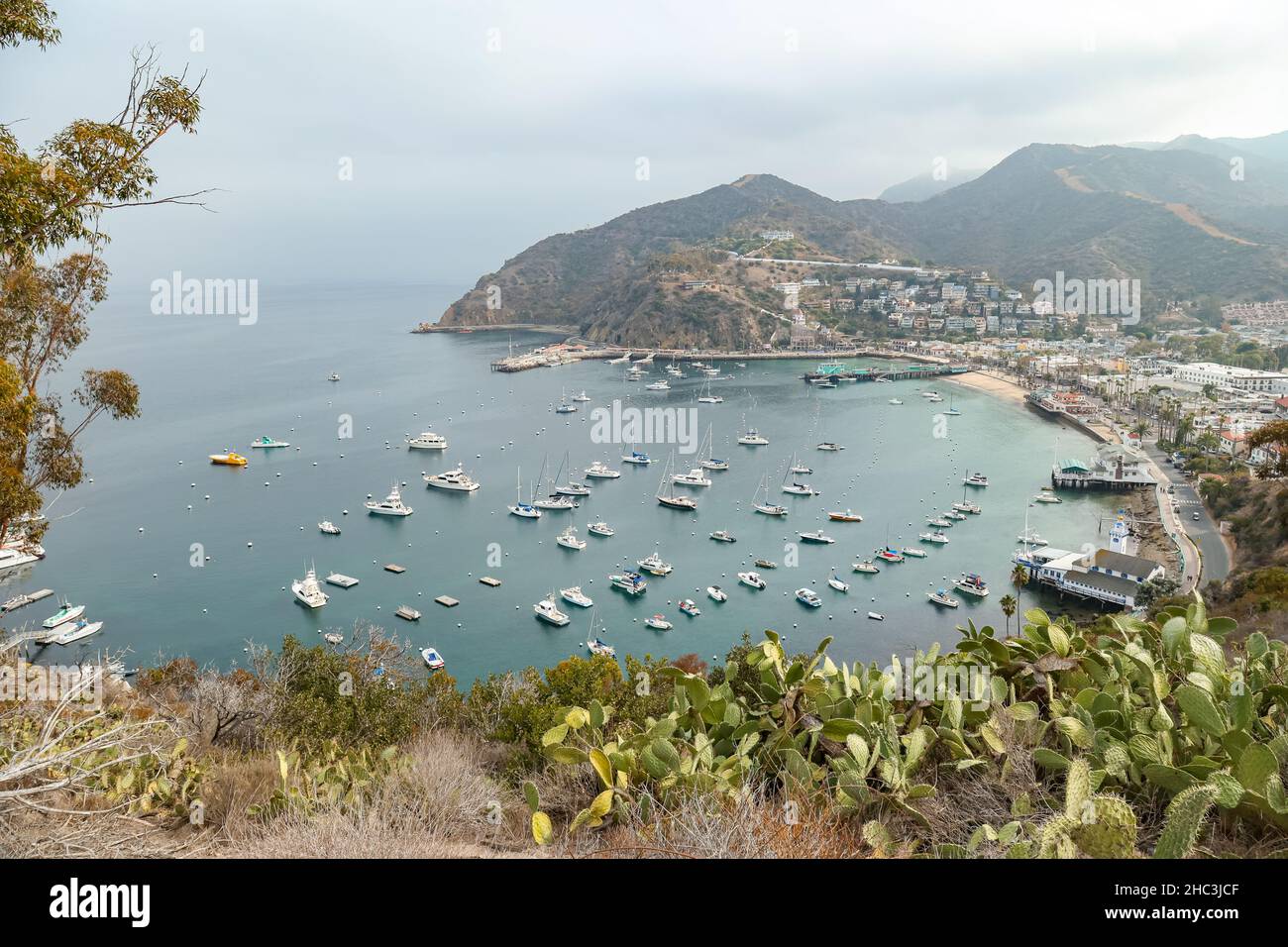 Avalon cove hi-res stock photography and images - Alamy