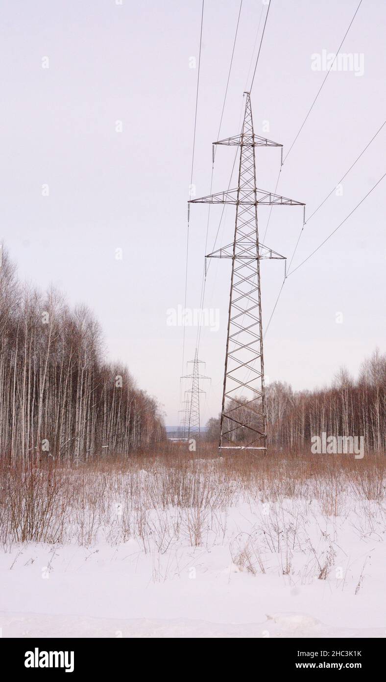 Tall metal poles of an electric transmission line in a clearing of a ...