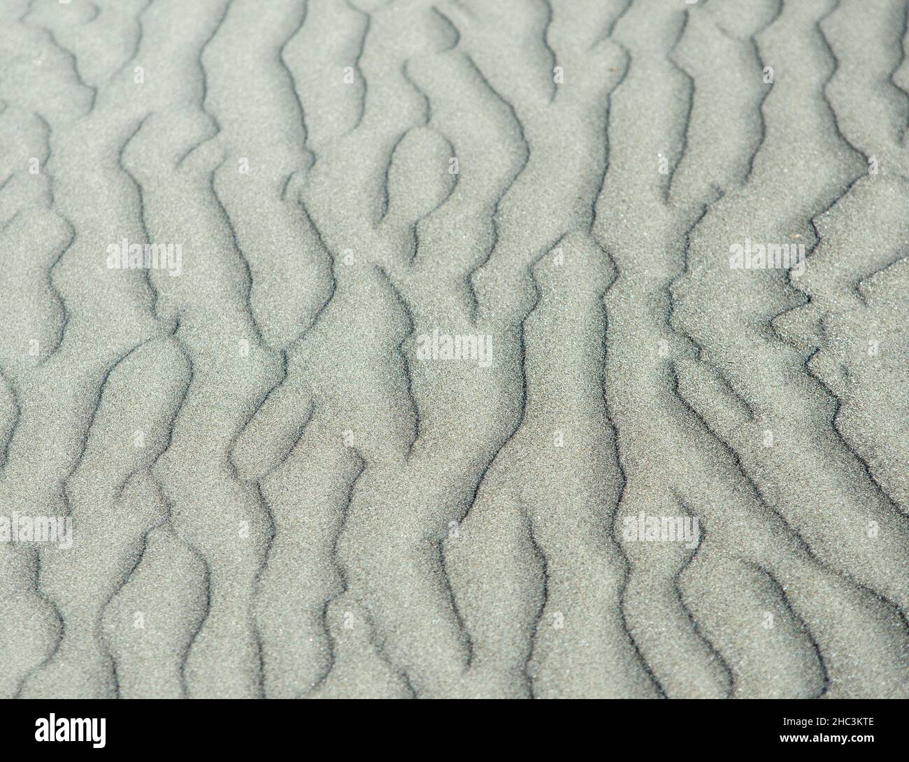 background image of natural wind blown sand ripples with ridges and ...