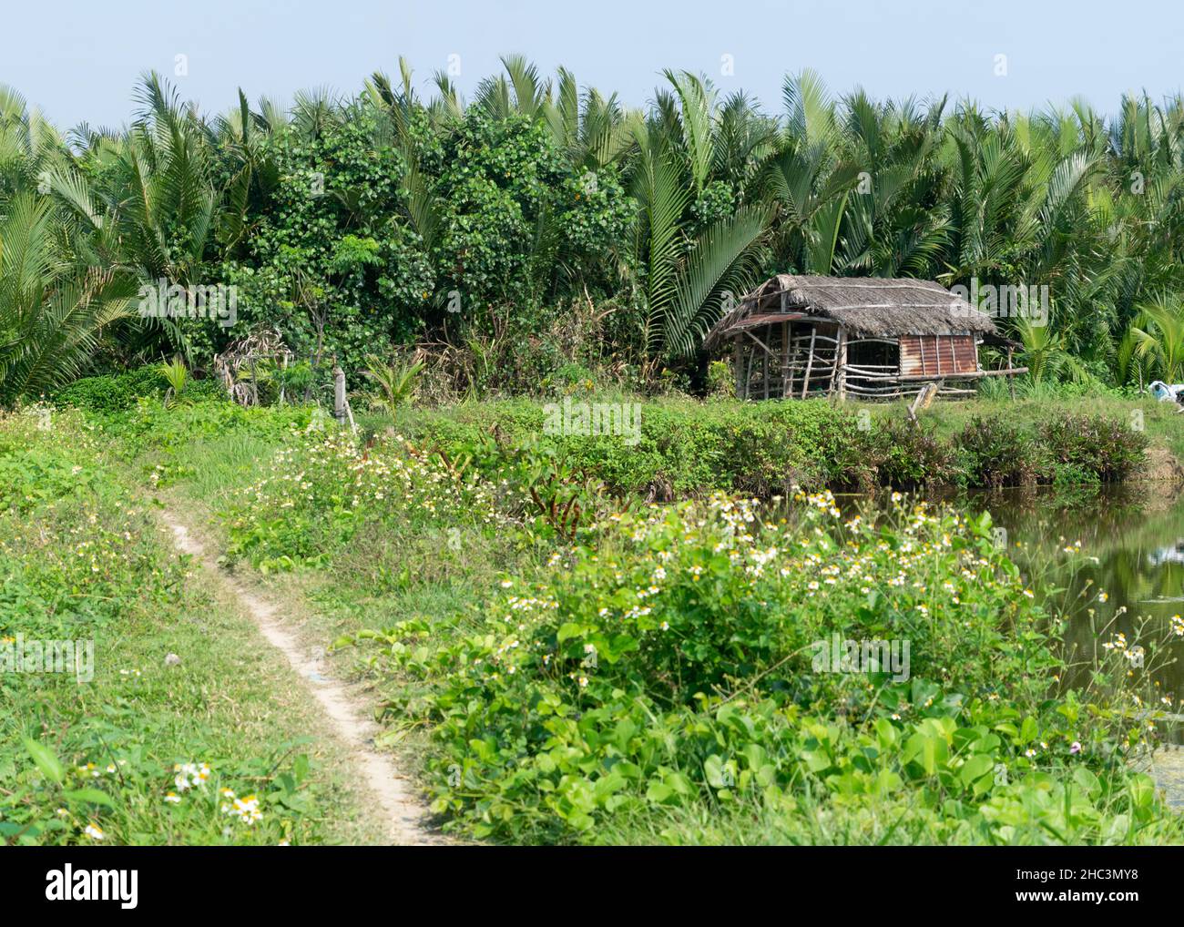 Farm hut in Hoi An, Vietnam Stock Photo - Alamy