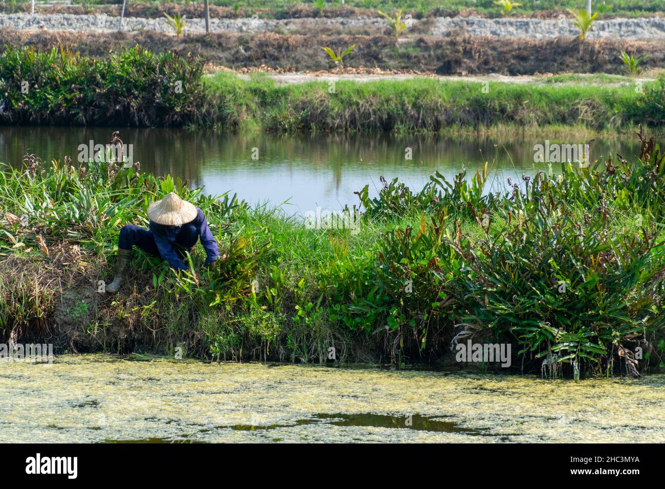 Kneeling by pond hi-res stock photography and images - Alamy