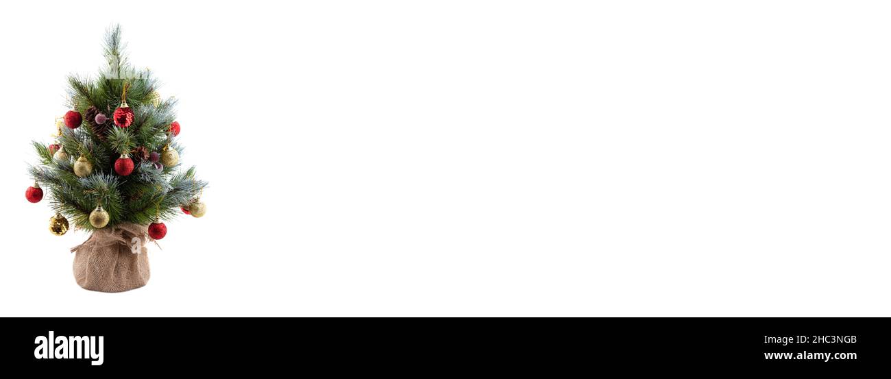 Christmas pine tree in a pot wrapped in cloth. Decorated with bright ...