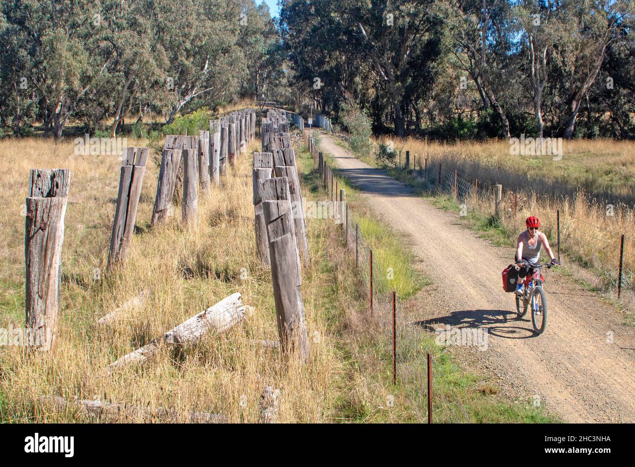 Cycling on the Great Victorian Rail Trail Stock Photo - Alamy