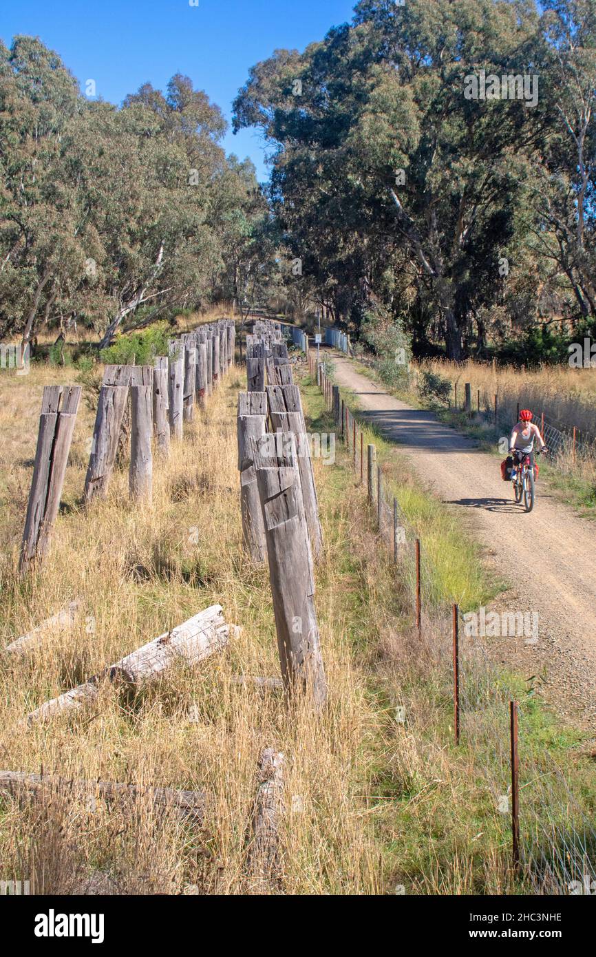 Cycling on the Great Victorian Rail Trail Stock Photo - Alamy