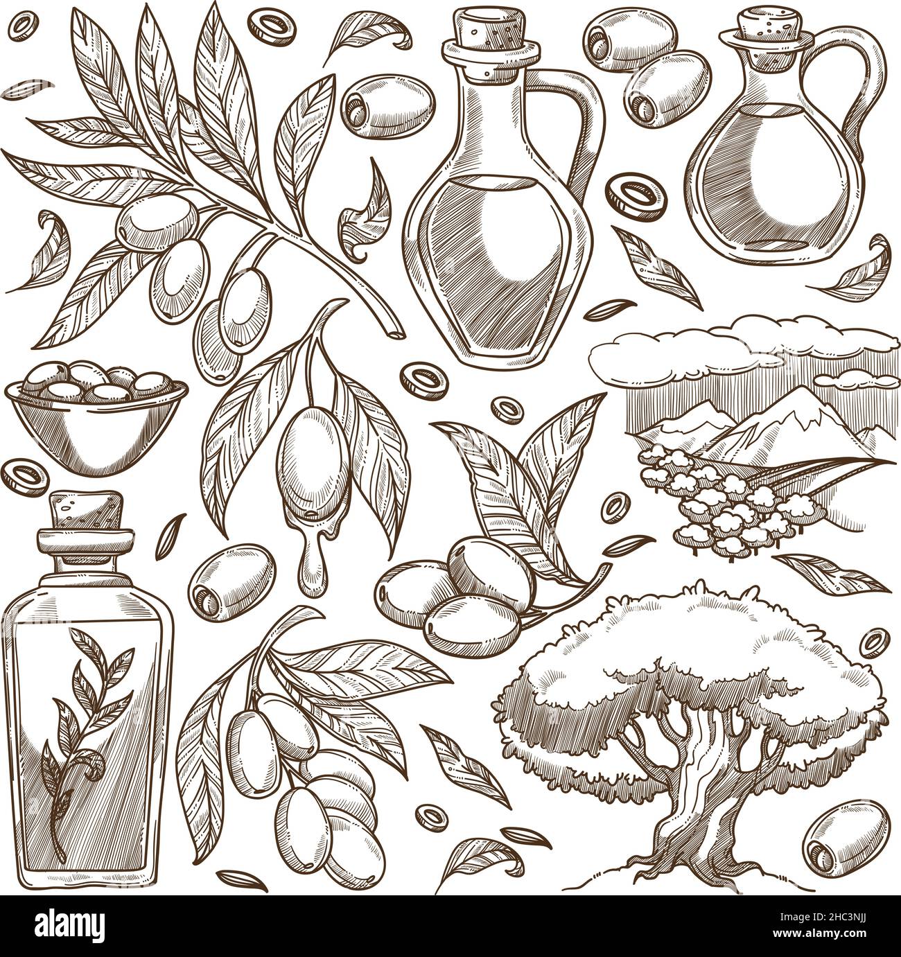 Olive tree countryside Stock Vector Images - Alamy