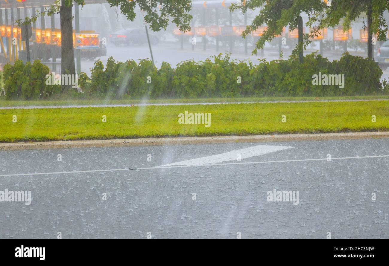 Rainy season heavy rainfall strong winds heavy rain drops falling on ...