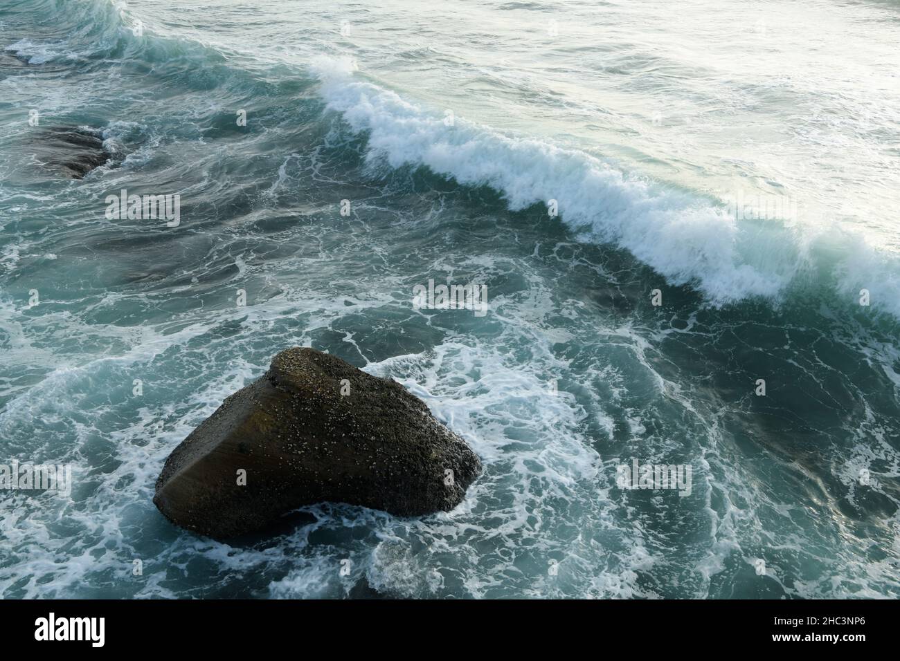 Beauty in nature, rock in surf zone, marine ecology, gastropod ...