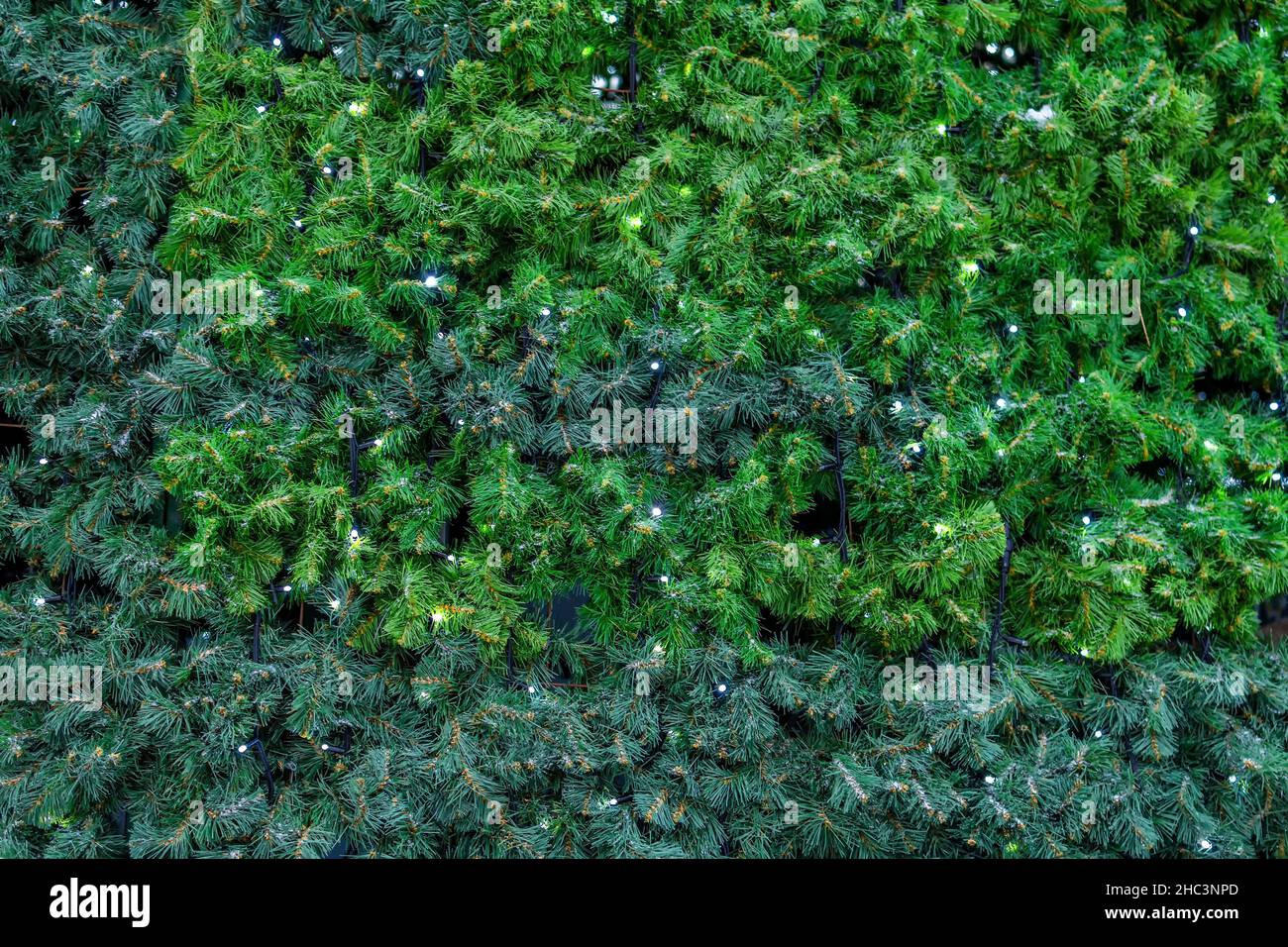 Green needles and garland glowing bulbs. Texture from part of a ...