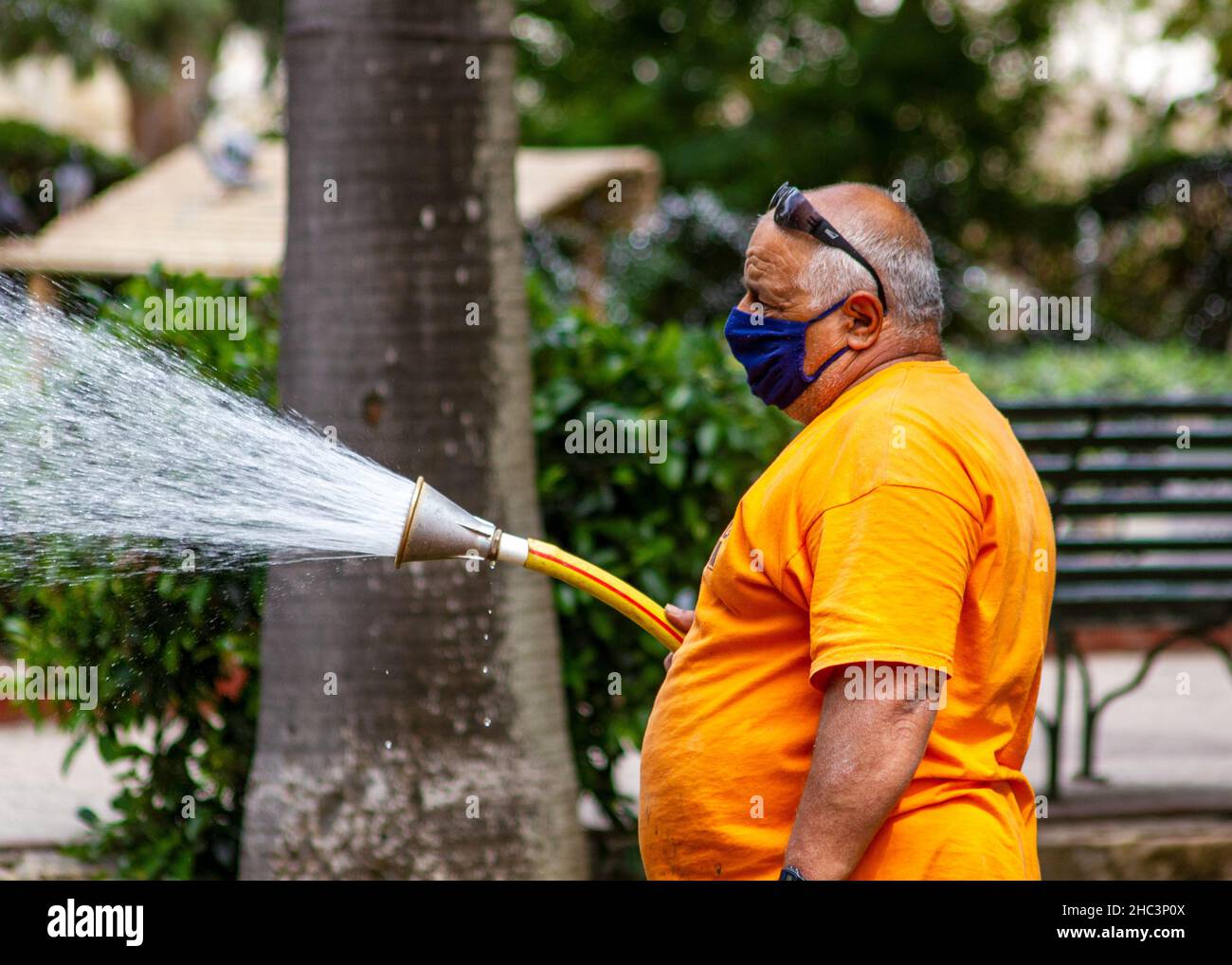 Man watering using hose pipe Stock Photo - Alamy