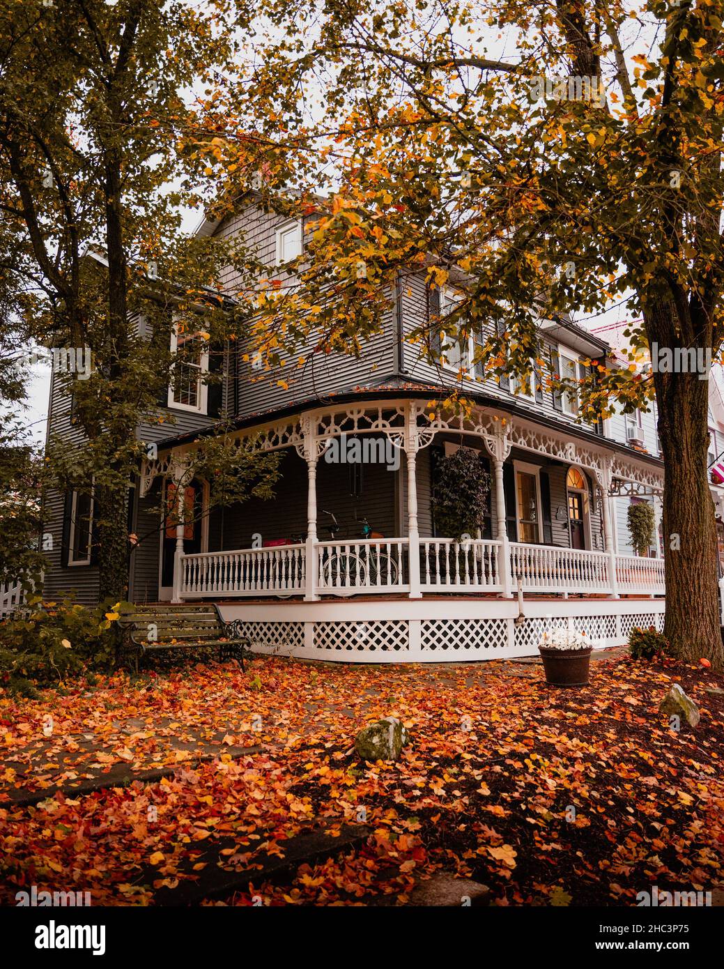 Beautiful private house surrounded by bright orange trees in autumn ...