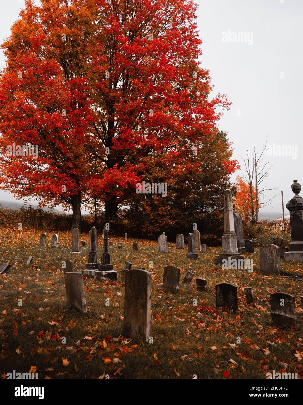 Daylight cemetery hi-res stock photography and images - Alamy