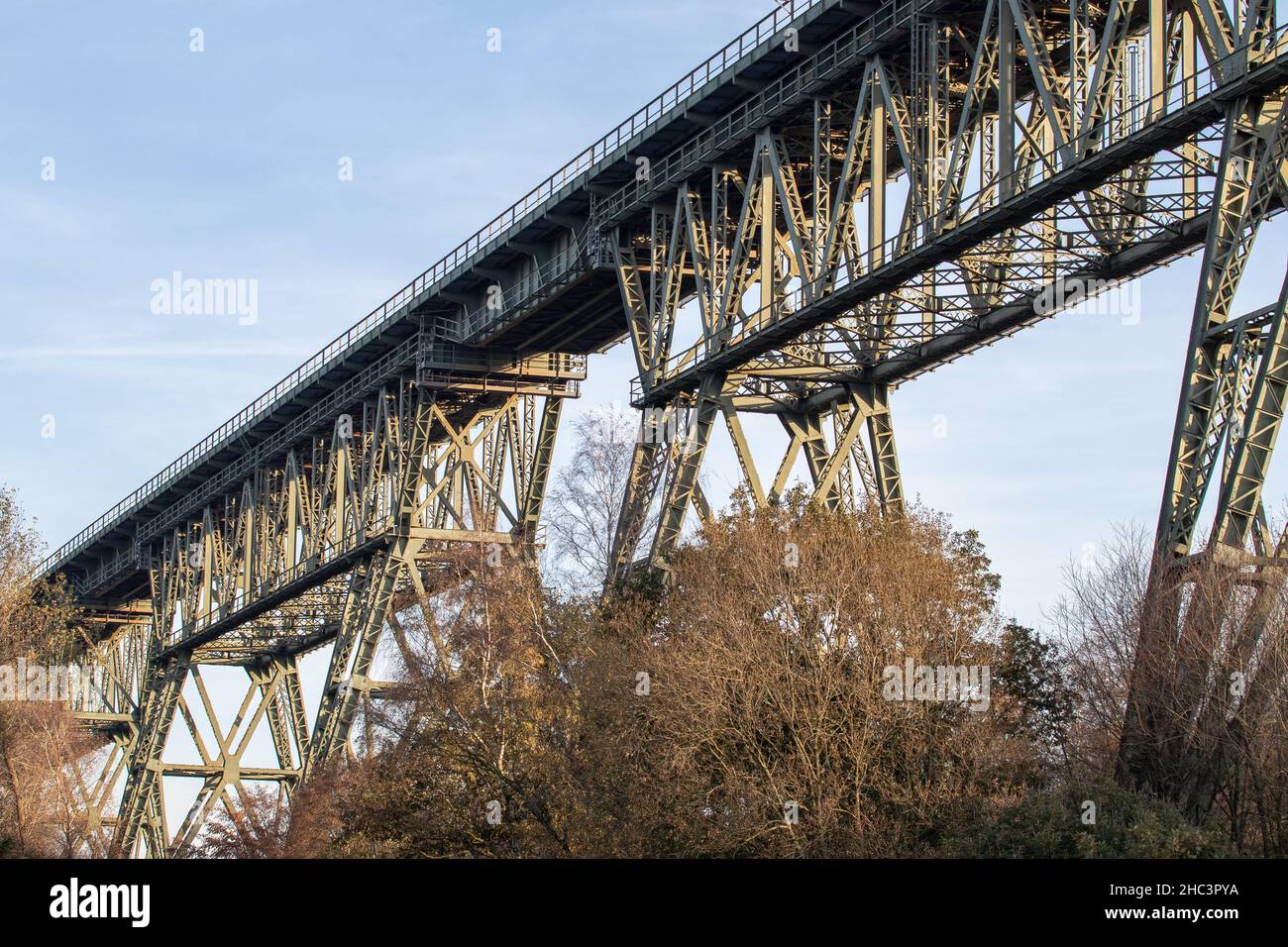 High-level bridge surrounded by trees Stock Photo - Alamy