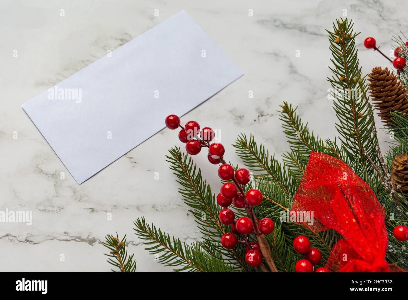 Blank branch hi-res stock photography and images - Alamy