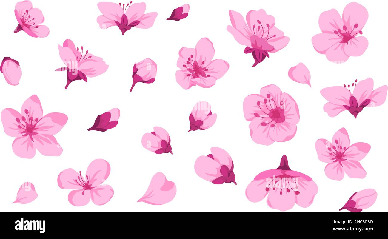 Cherry bloom buds Stock Vector Images - Alamy