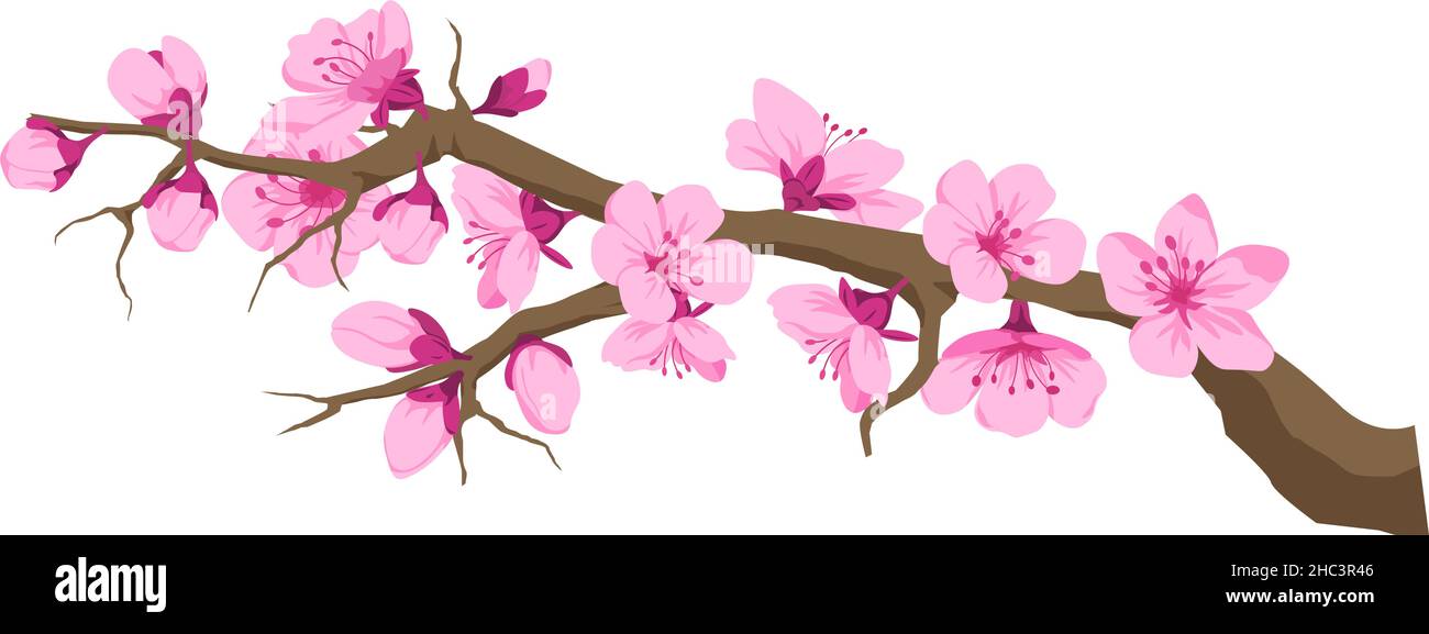 Twig with cherry blossom, sakura flowers on branch Stock Vector Image ...