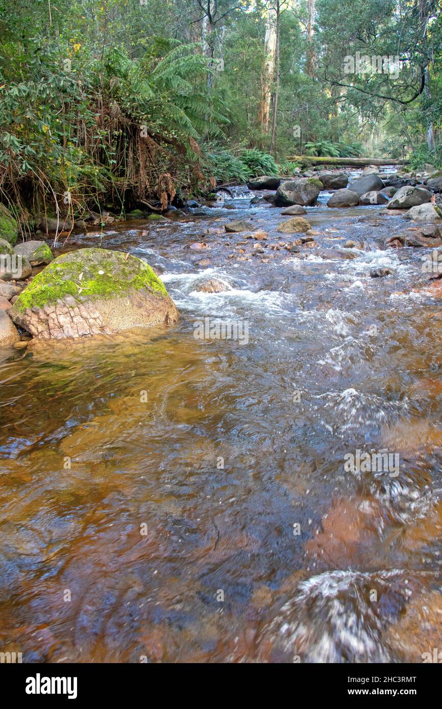 Delatite river hi-res stock photography and images - Alamy