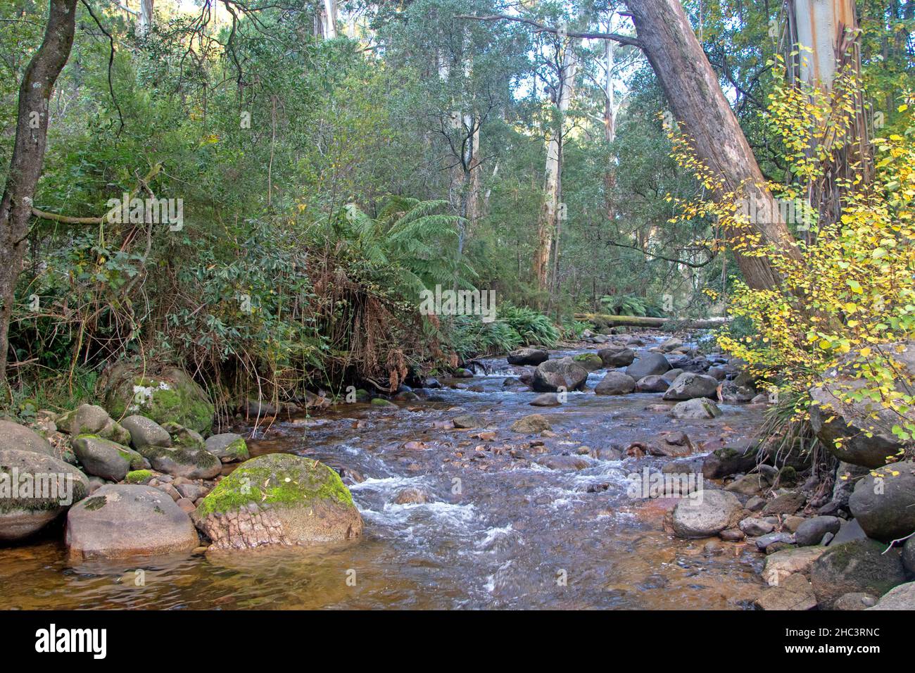 Delatite river hi-res stock photography and images - Alamy