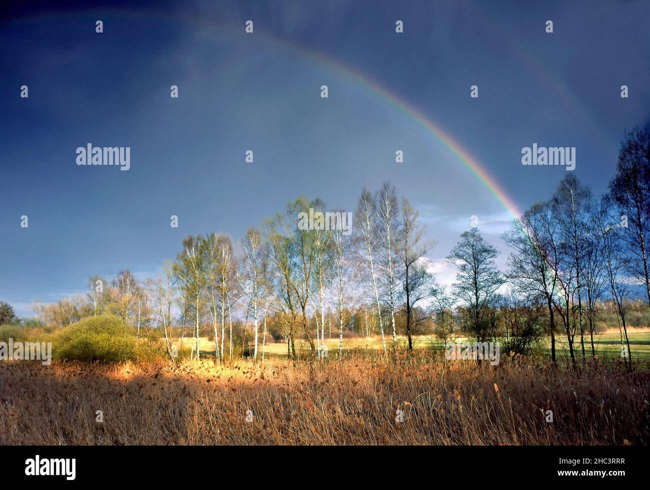 Rainbow Landscape, Chiemgau, Upper Bavaria, Germany Stock Photo - Alamy