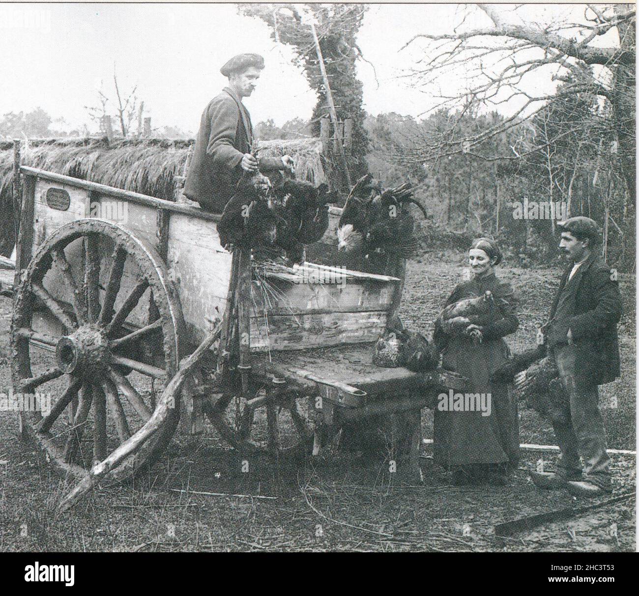 La paysanne hi-res stock photography and images - Alamy