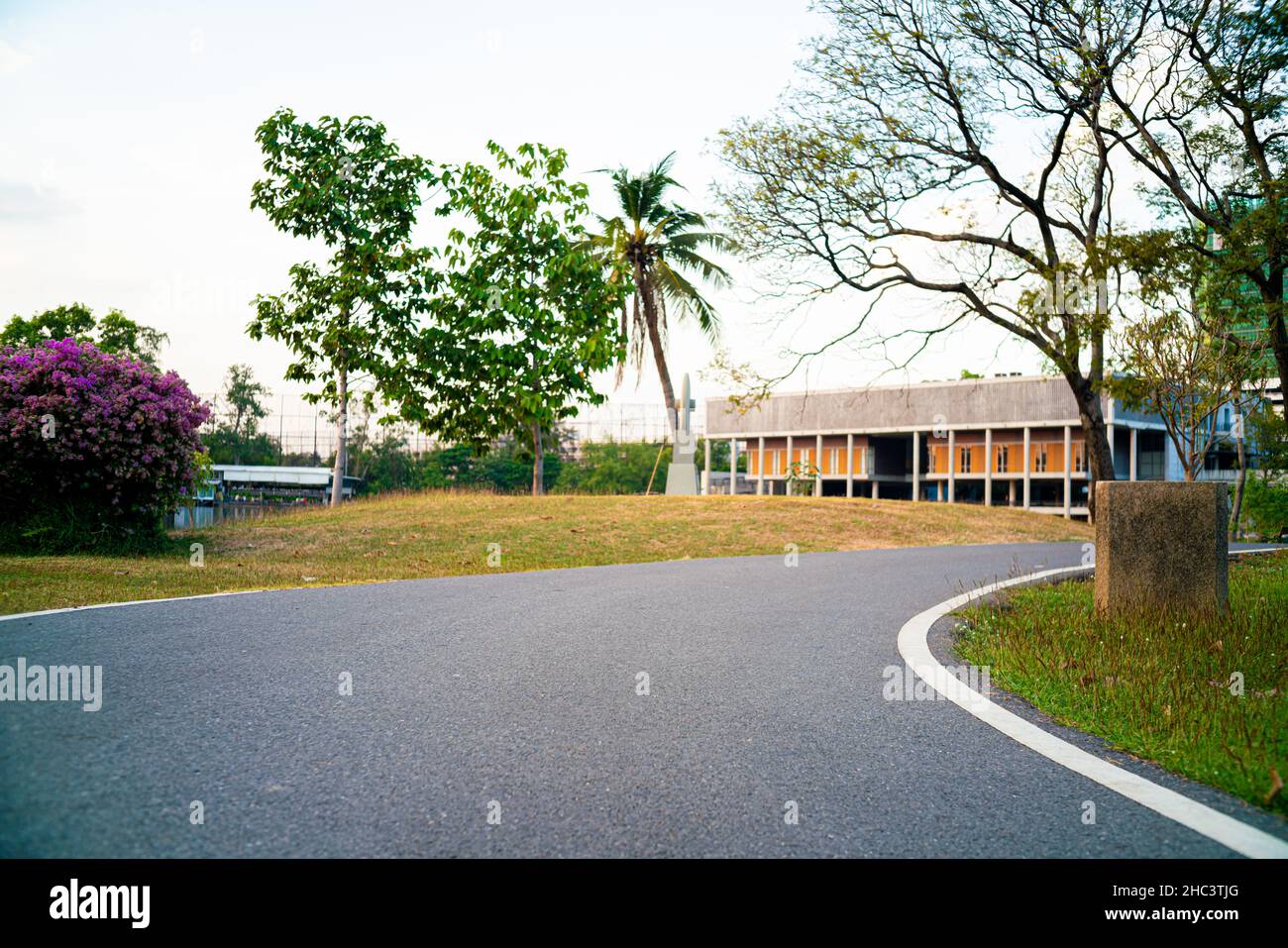 Asphalt walk and running pathway in green city park sunset nature ...