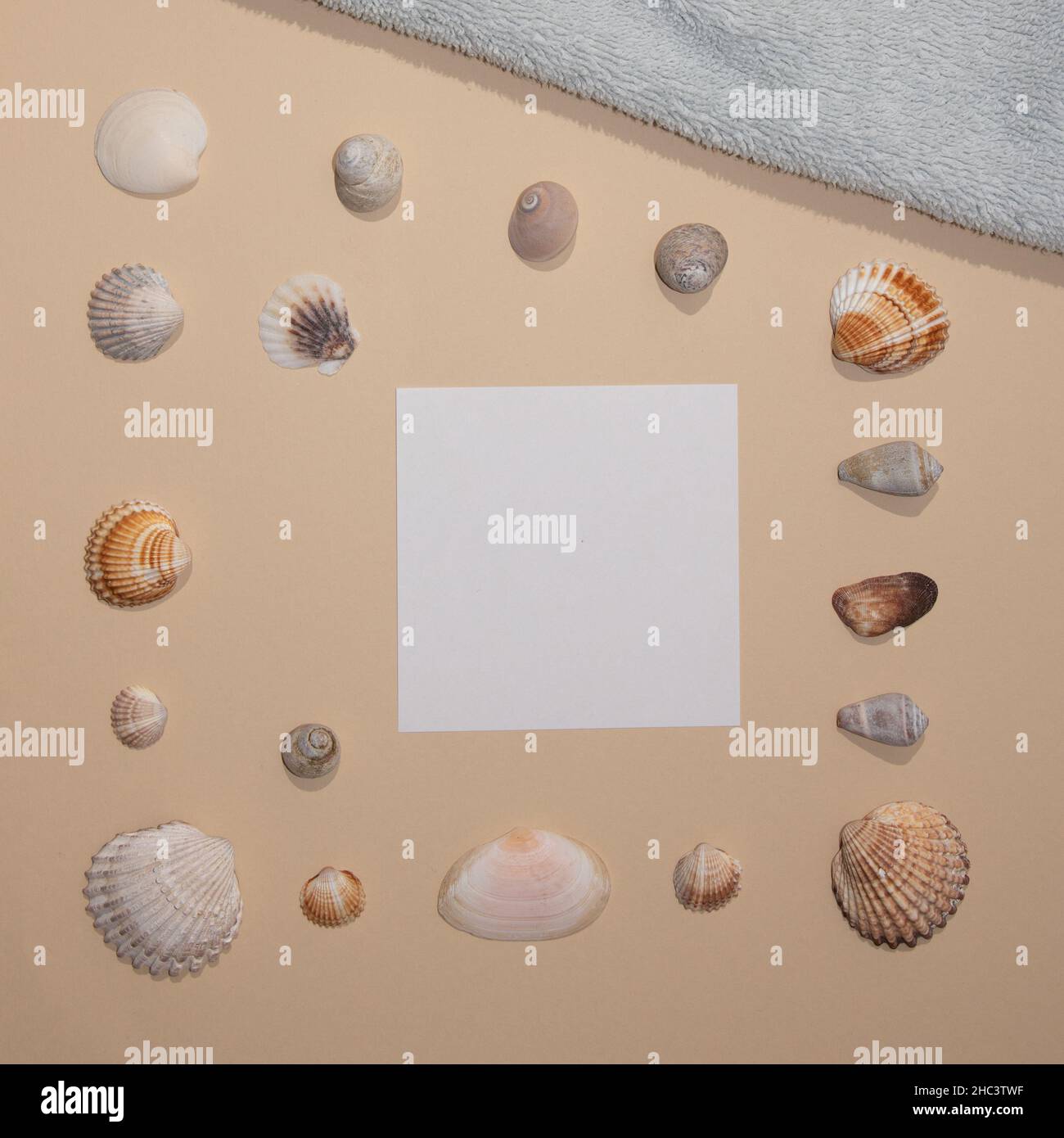 Summer scene with sea shell with copy space on the beige background ...