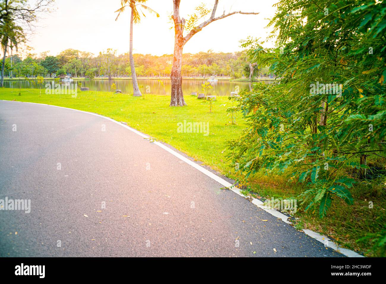 Asphalt walk and running pathway in green city park sunset nature ...