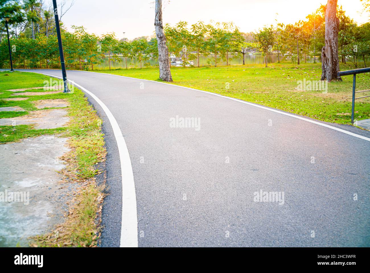 Asphalt walk and running pathway in green city park sunset nature ...