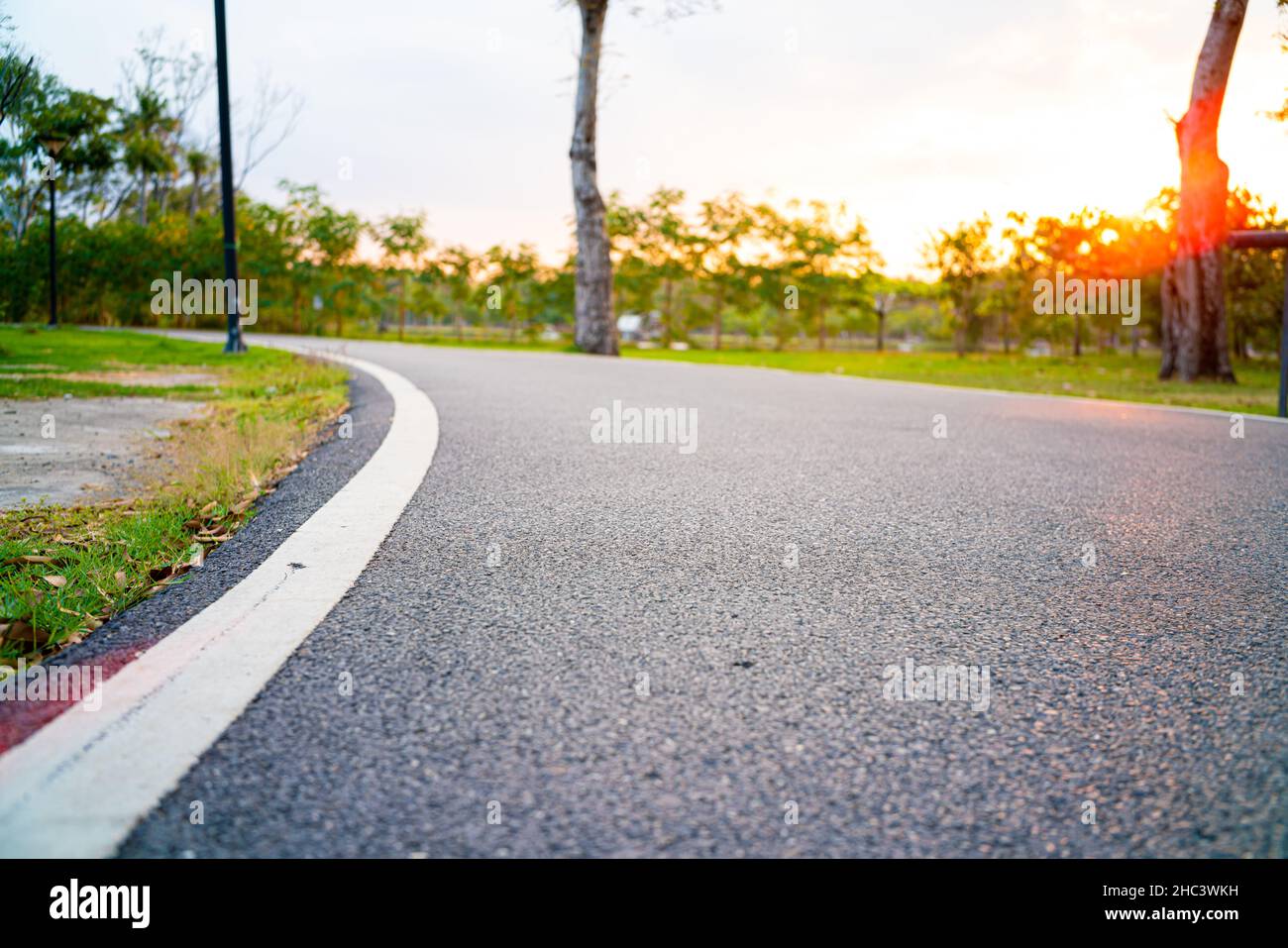 Asphalt walk and running pathway in green city park sunset nature ...