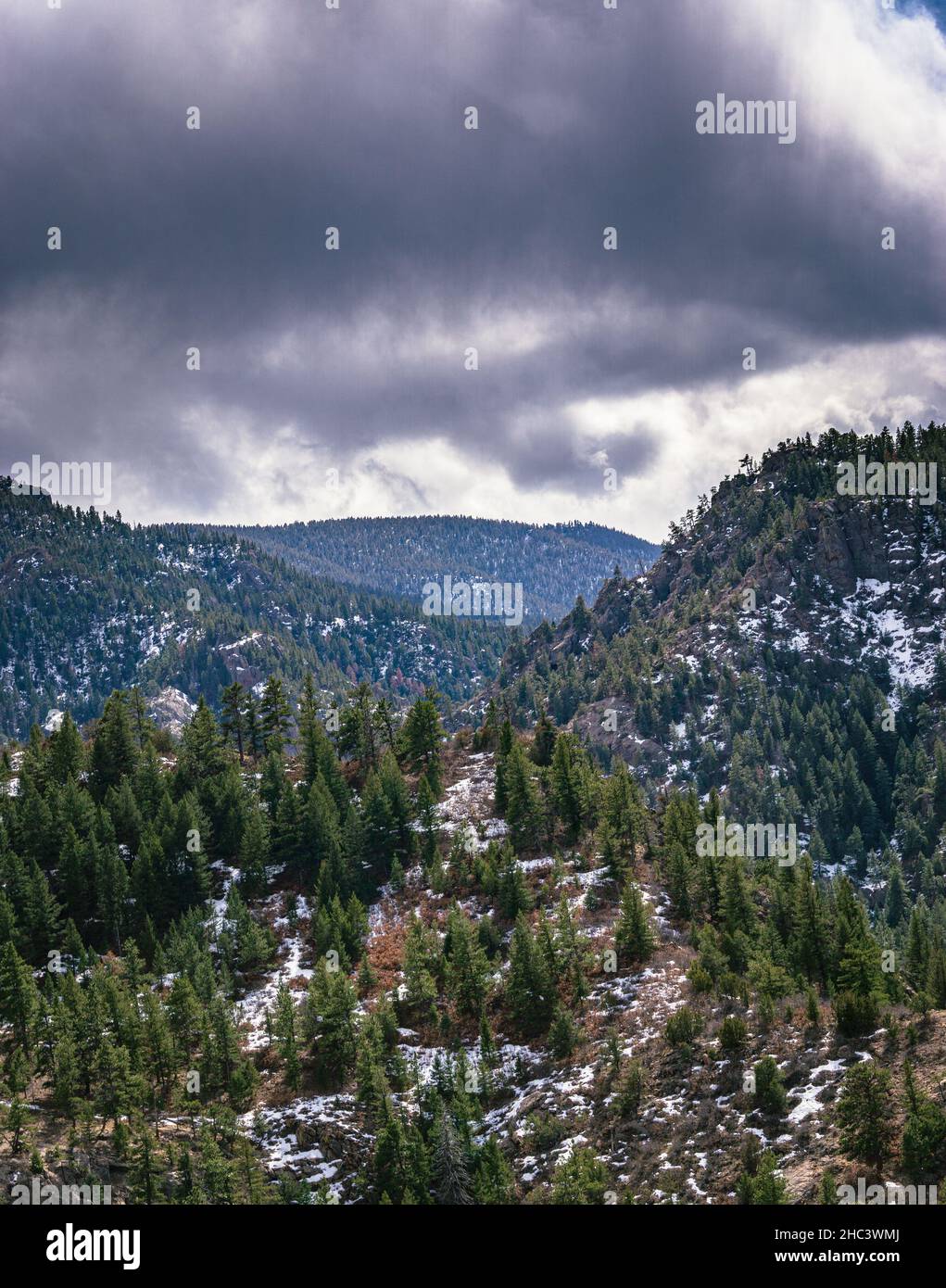 Top view of half-snowy mountain forest Stock Photo - Alamy