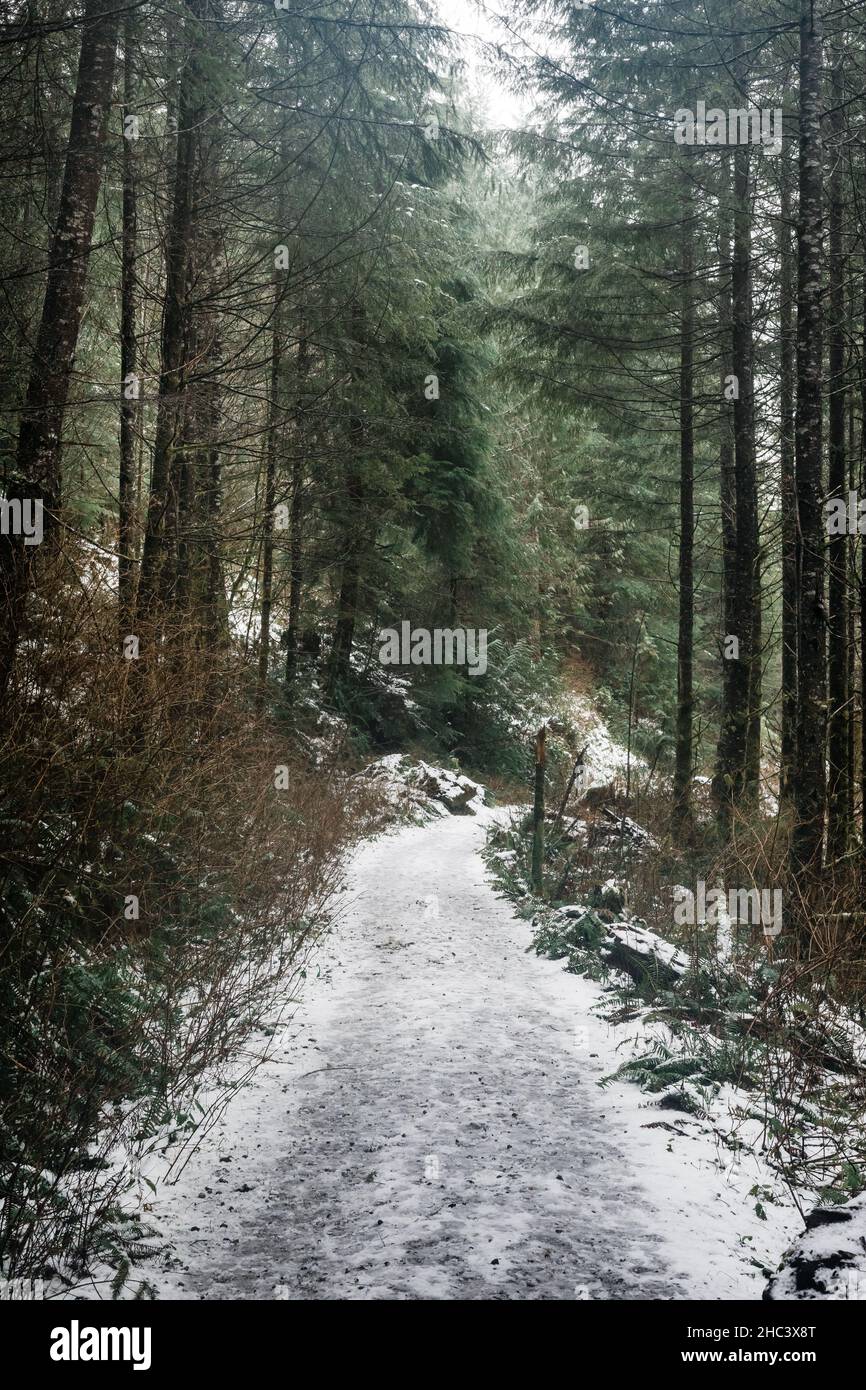 Snowy dirt road hi-res stock photography and images - Alamy