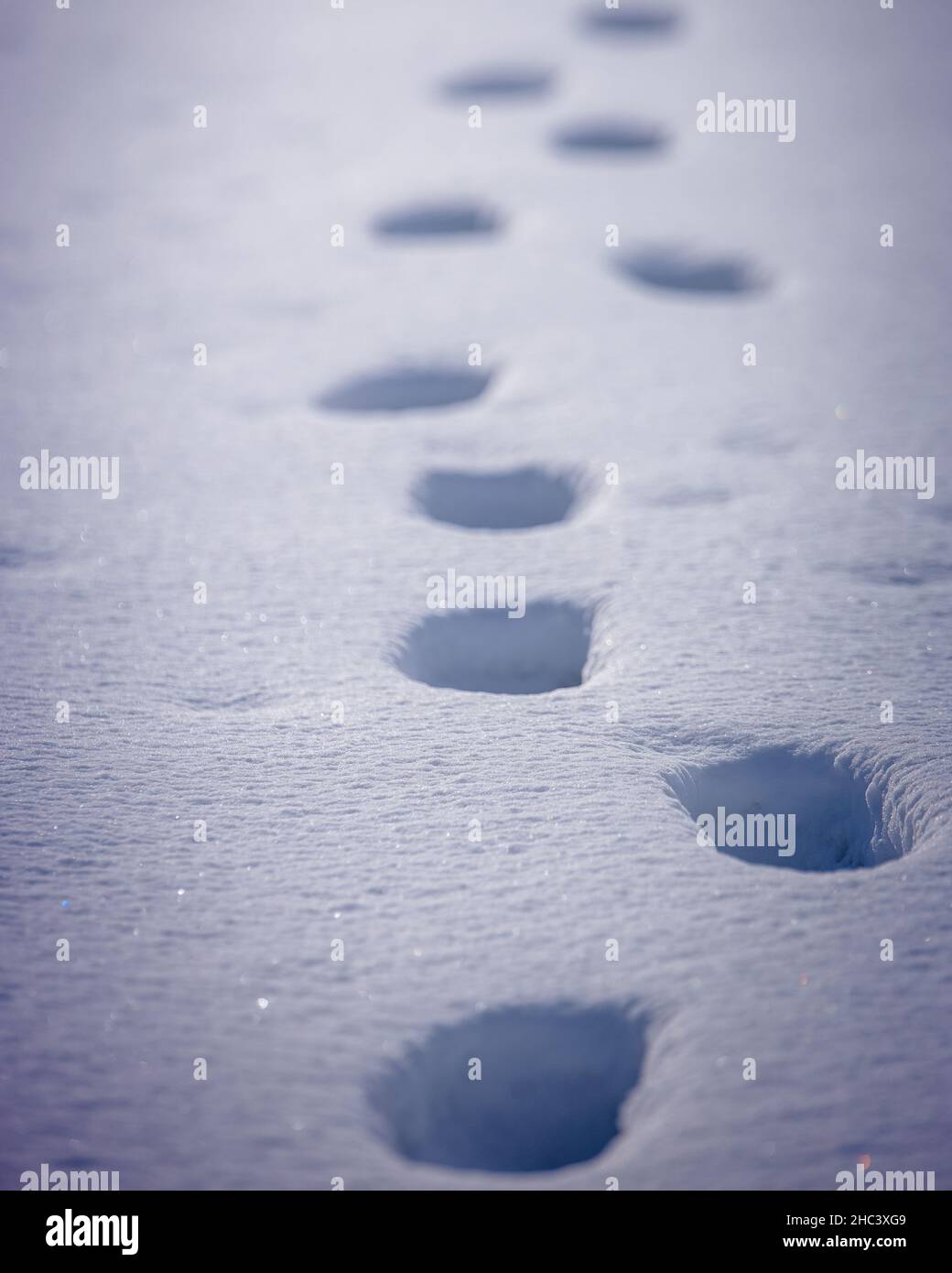 Footsteps background hi-res stock photography and images - Alamy