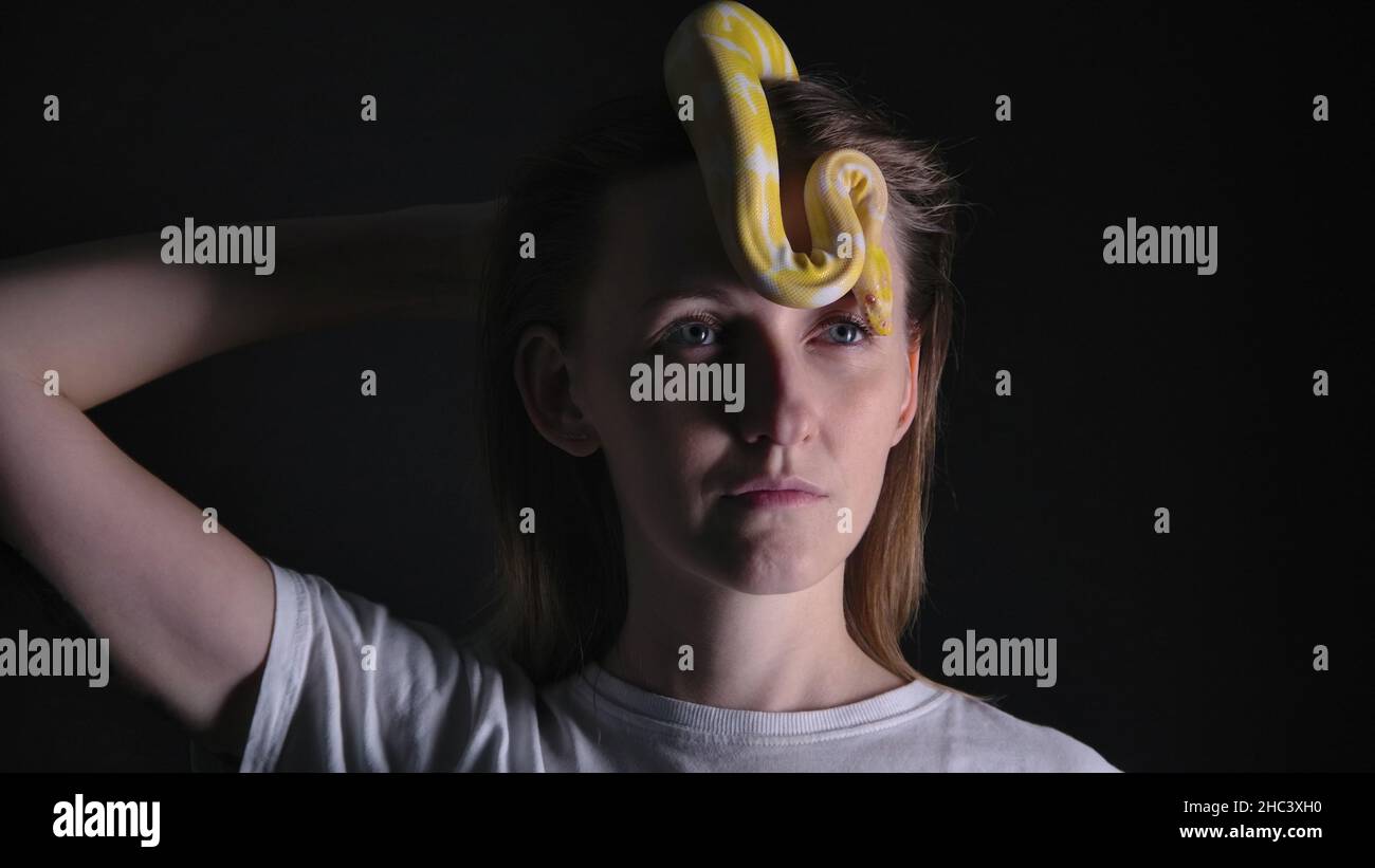 Photo of woman with pet python albino crawling on her head Stock Photo ...
