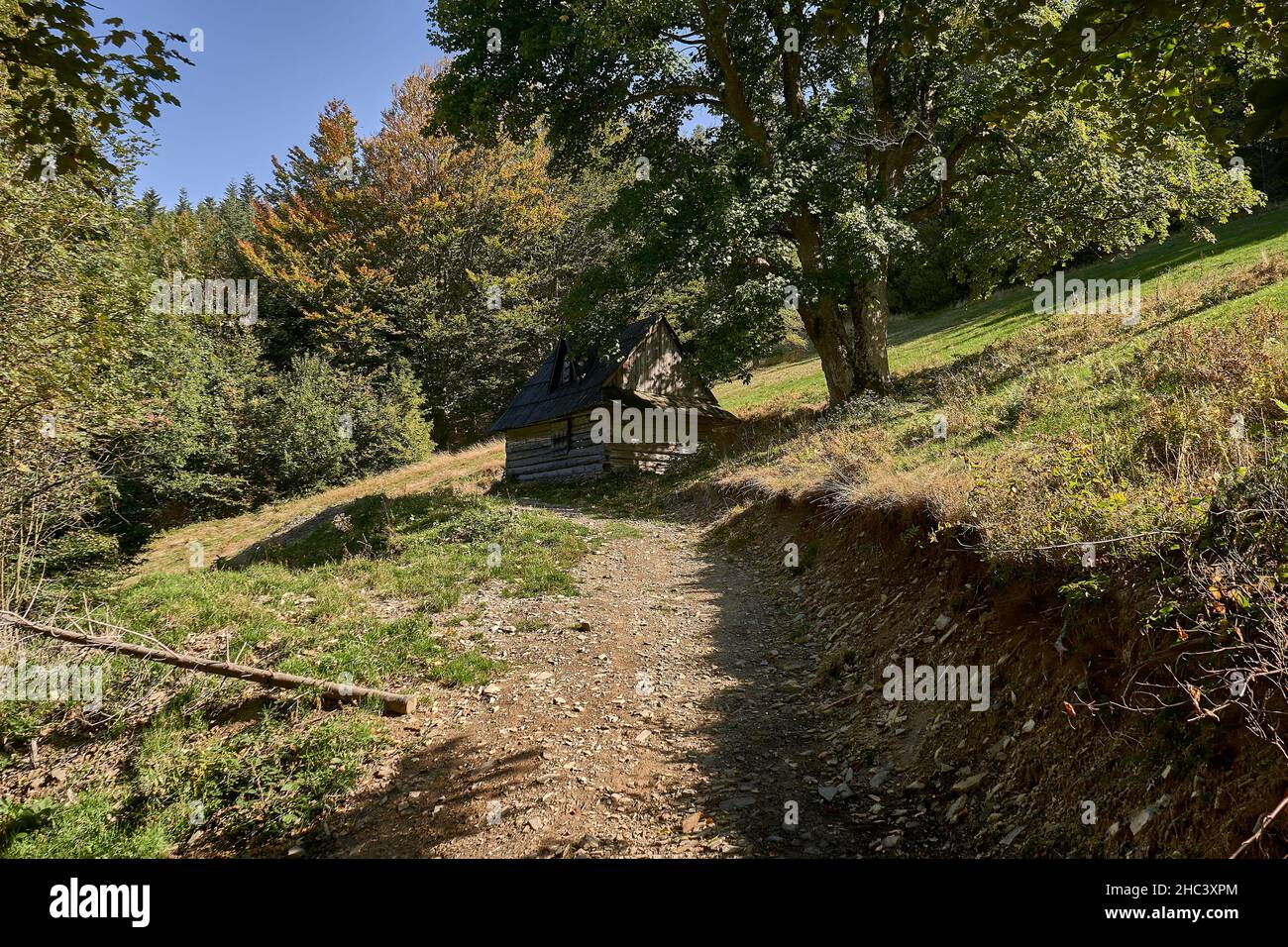 Woden architecture hi-res stock photography and images - Alamy