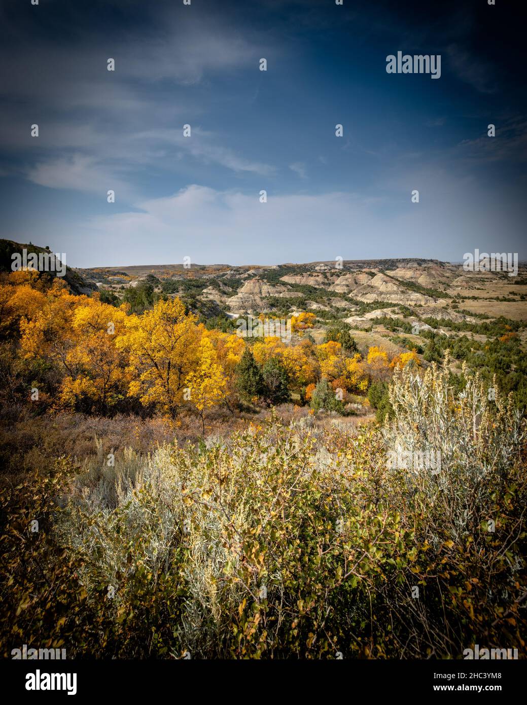 Beautiful view of a landscape with autumn trees under the cloudy sky ...
