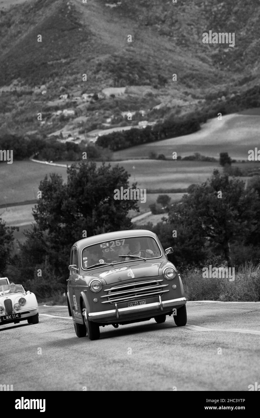 CAGLI , ITALY - OTT 24 - 2020 : FIAT 1100 103 on an old racing car in ...