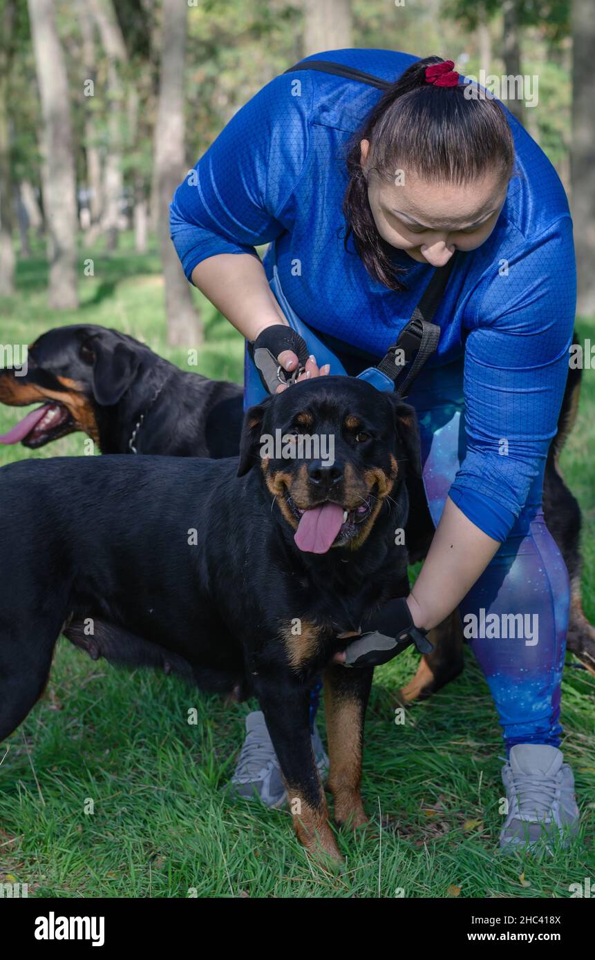 Adult female walking with two black dogs. Owner with two female ...