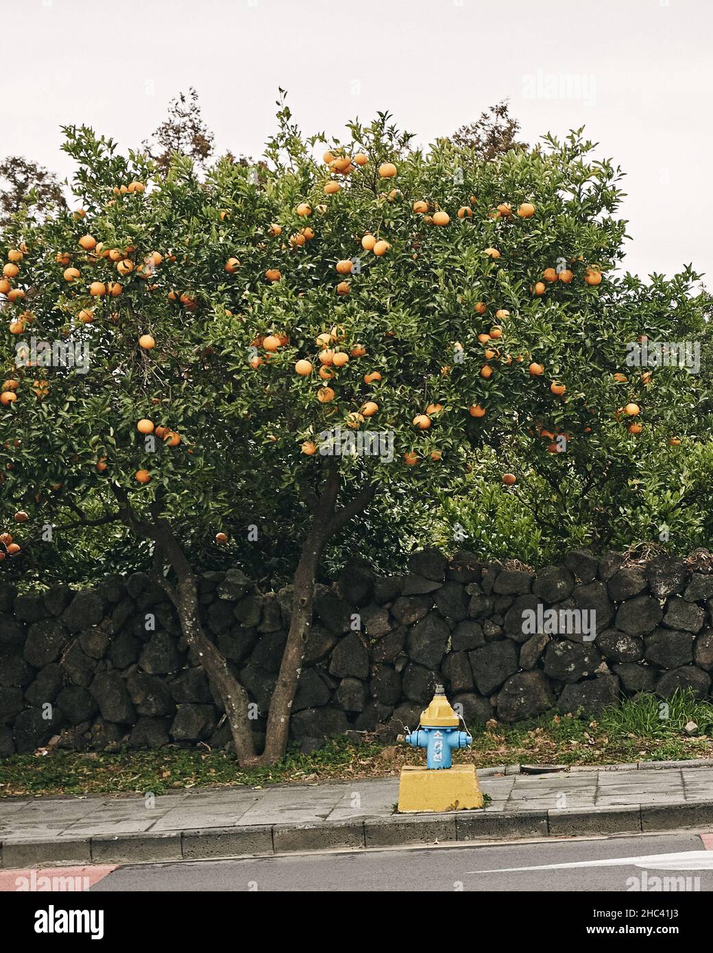 Orange fire hydrant hi-res stock photography and images - Alamy
