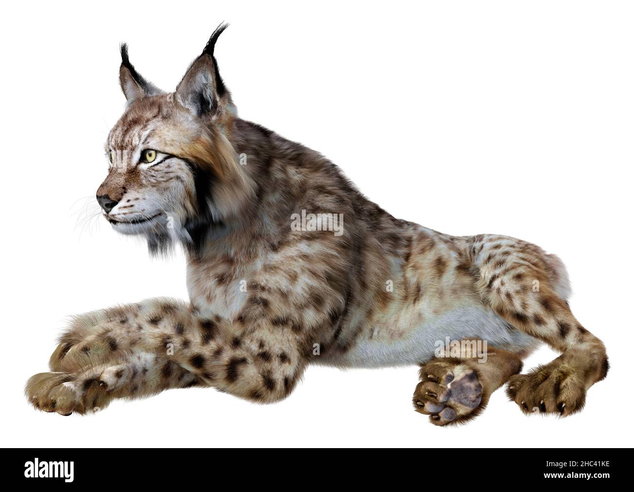 3D rendering of a wild lynx animal isolated on white background Stock ...