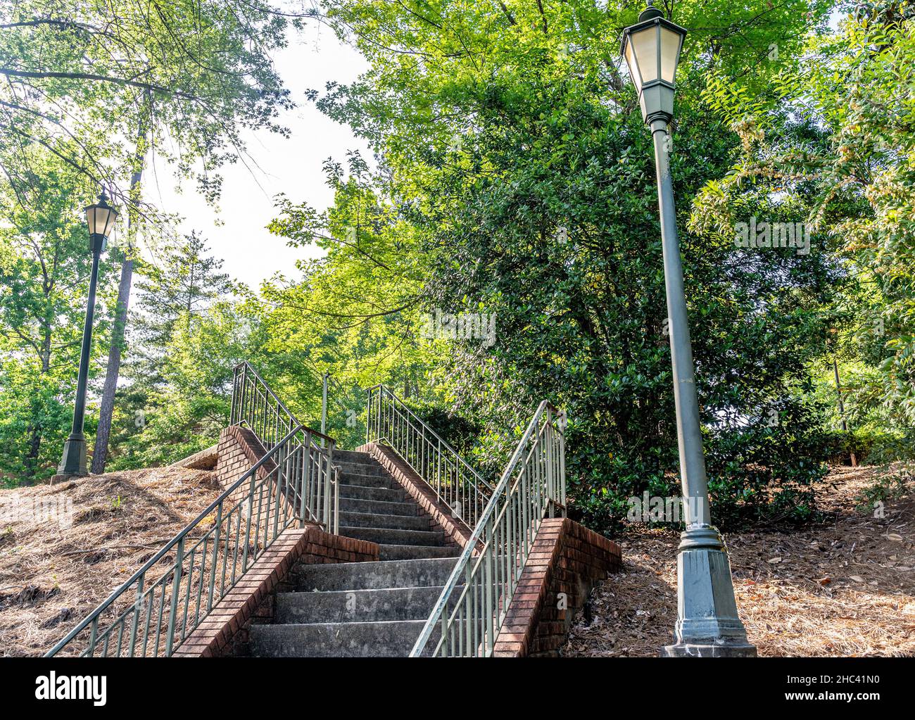 Empty stairs surrounded by trees and shrubs under a blue sky on a sunny ...